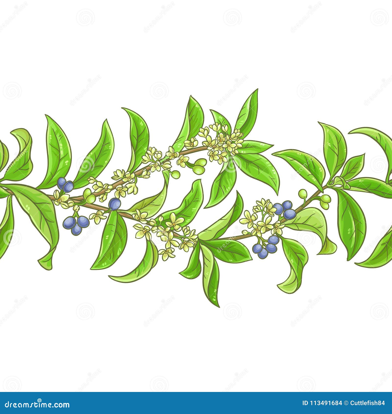 Osmanthus Vector Frame | CartoonDealer.com #106527729