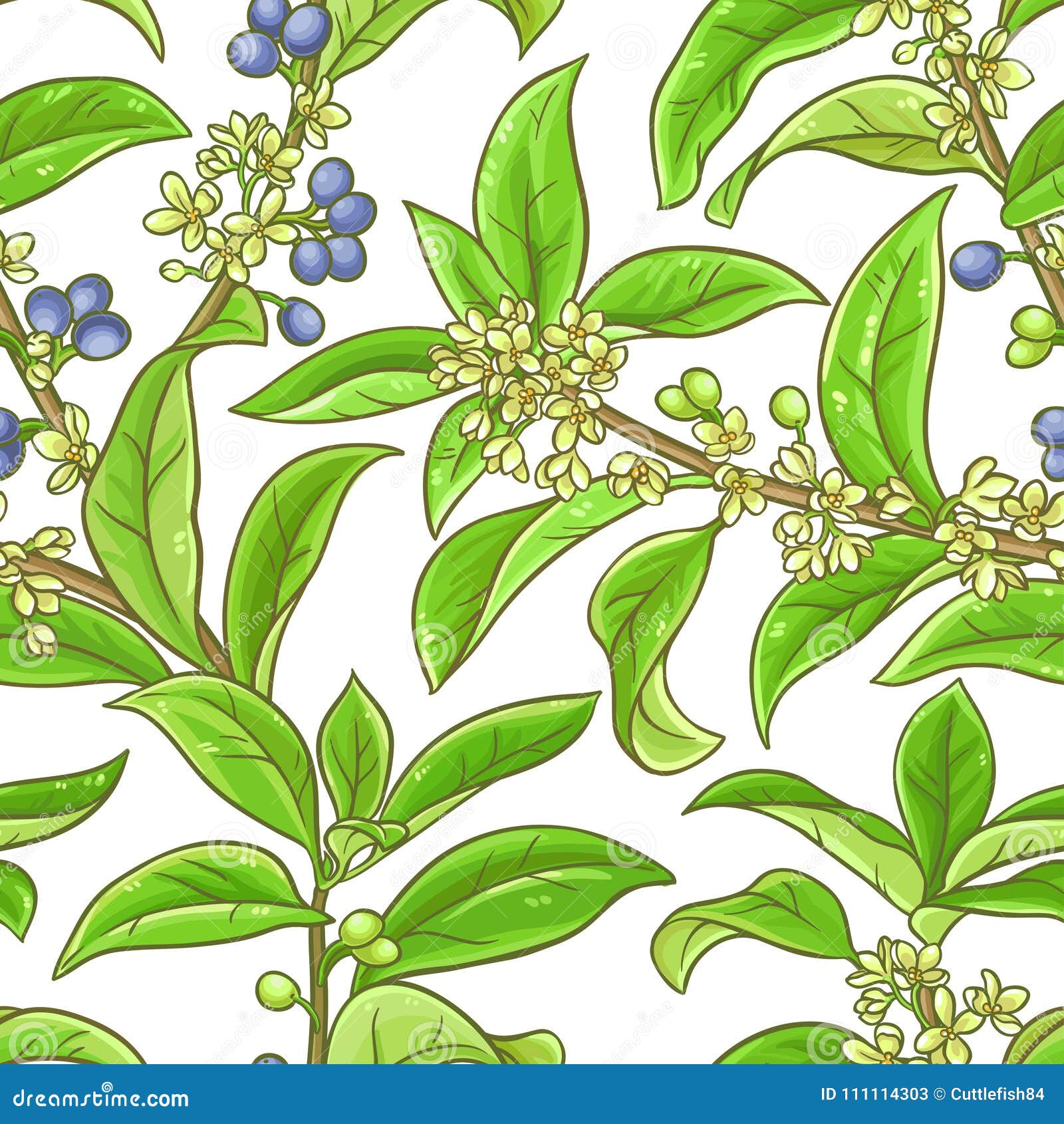 Osmanthus Vector Frame | CartoonDealer.com #106527729