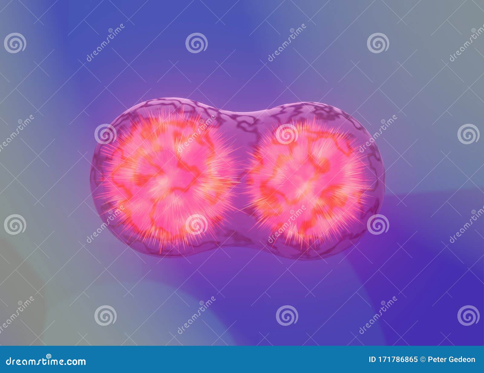 Osmosis Cell Splitting 3d Render Stock Illustration - Illustration of ...