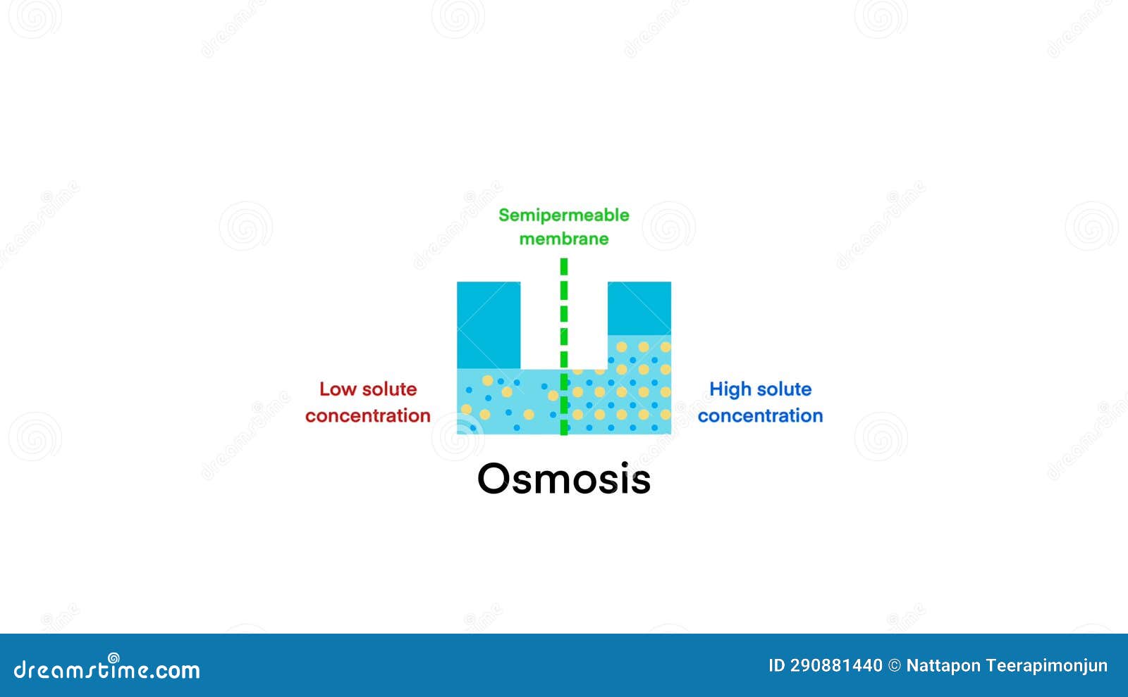 Osmosis Diffusion Process Isolated Diagram, Simple Reverse Osmosis ...