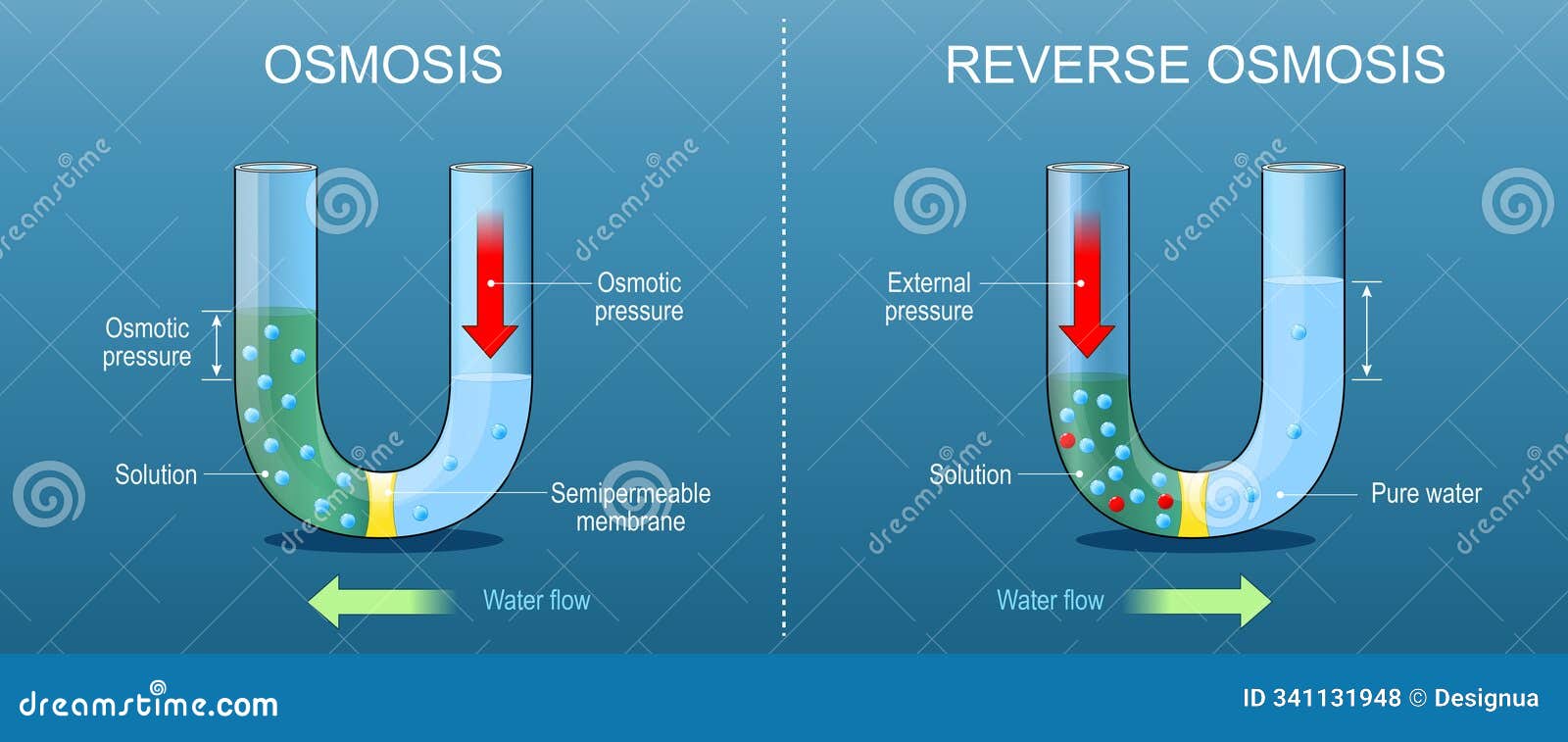 Osmosis and Reverse Osmosis Stock Illustration - Illustration of ...