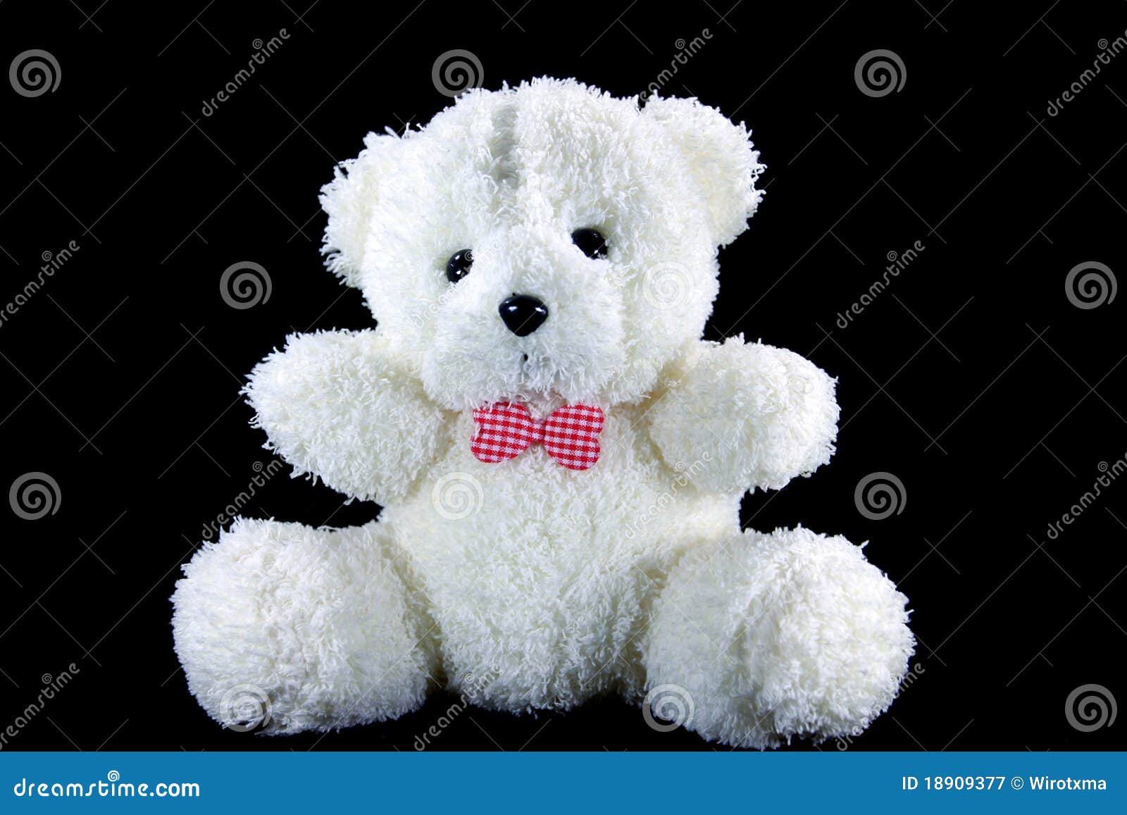 Oso blanco imagen de archivo. Imagen de lindo, estudio - 18909377