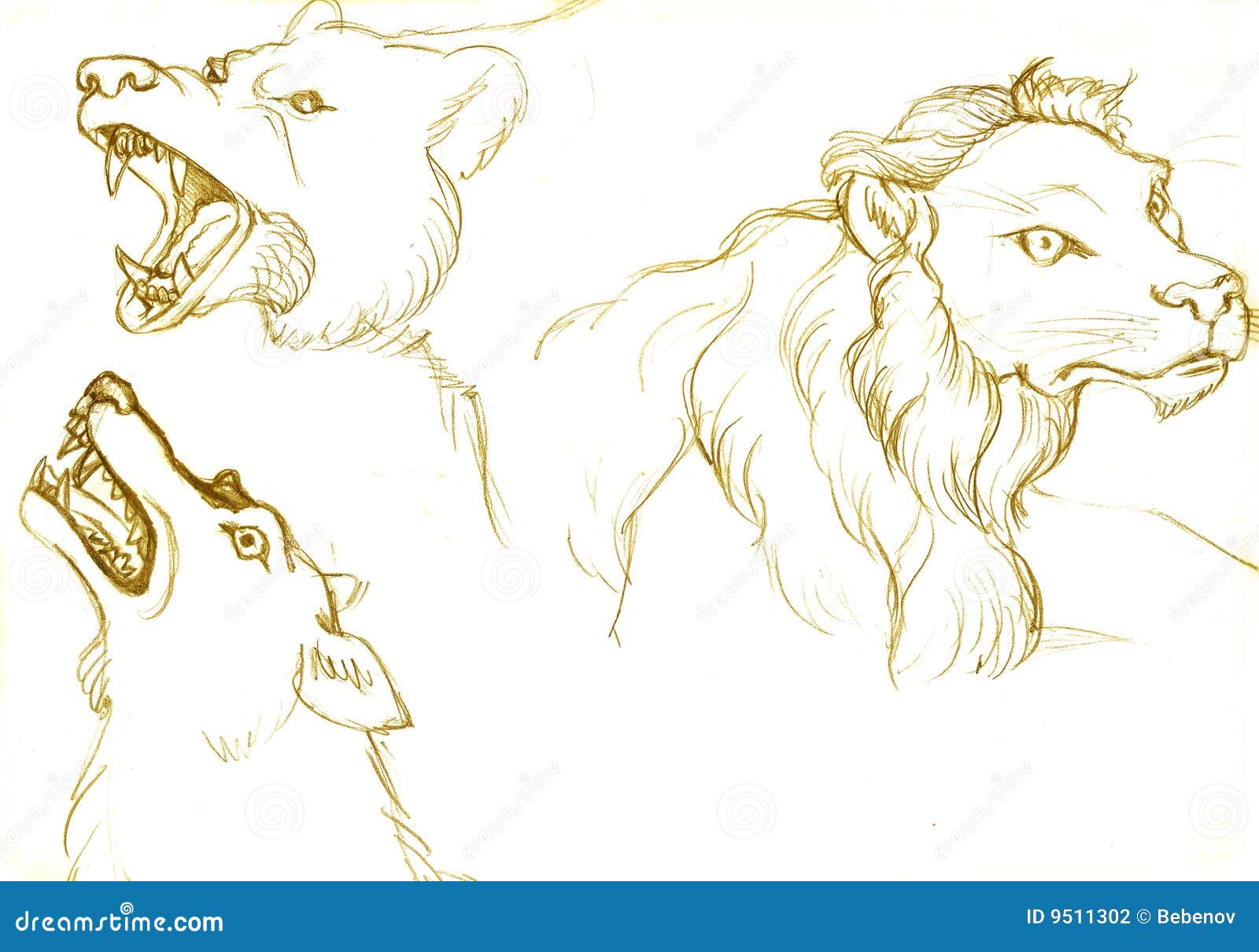 Oso, león y lobo stock de ilustración. Ilustración de pardo - 9511302