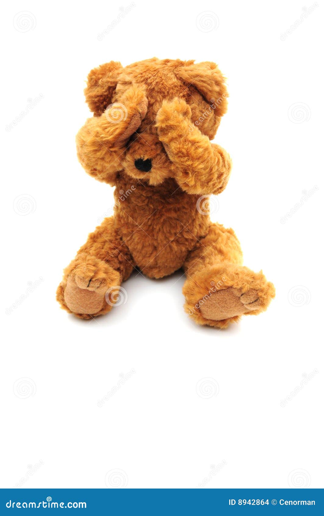 Oso triste foto de archivo. Imagen de patas, rasgones - 8942864