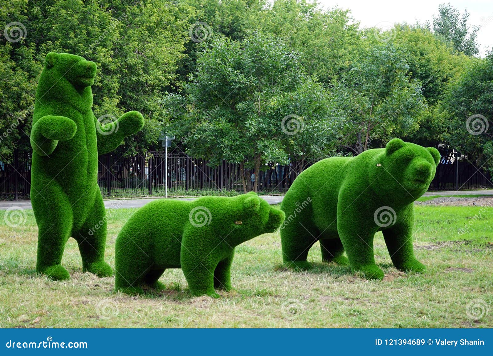 Osos del verde imagen de archivo editorial. Imagen de grupo - 121394689