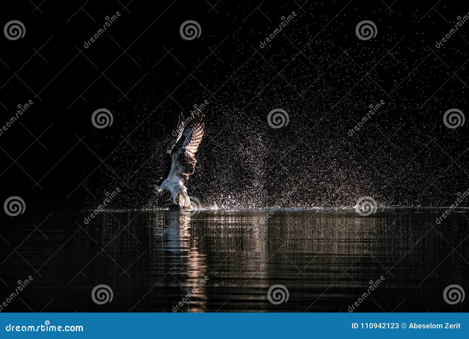 Takeoff Ix Stock Photos - Free & Royalty-Free Stock Photos from Dreamstime