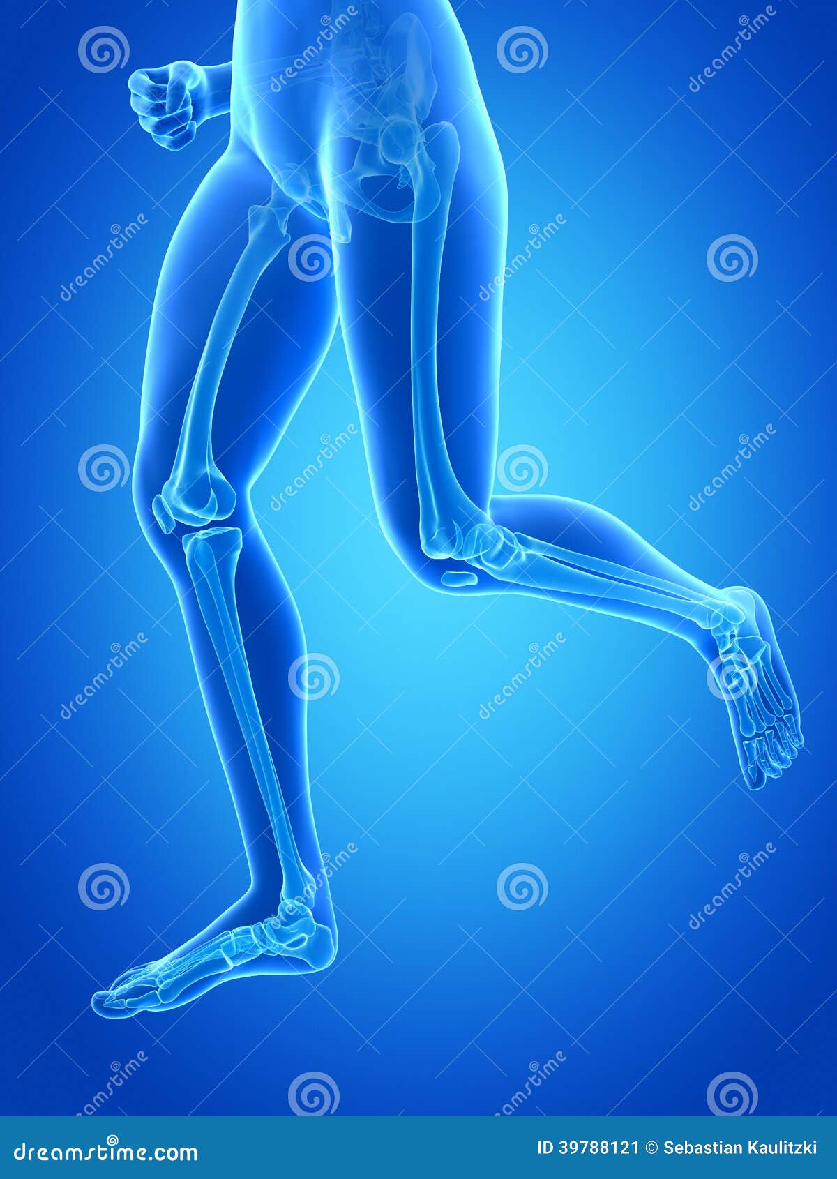 Ossa visibili della gamba illustrazione di stock. Illustrazione di ...