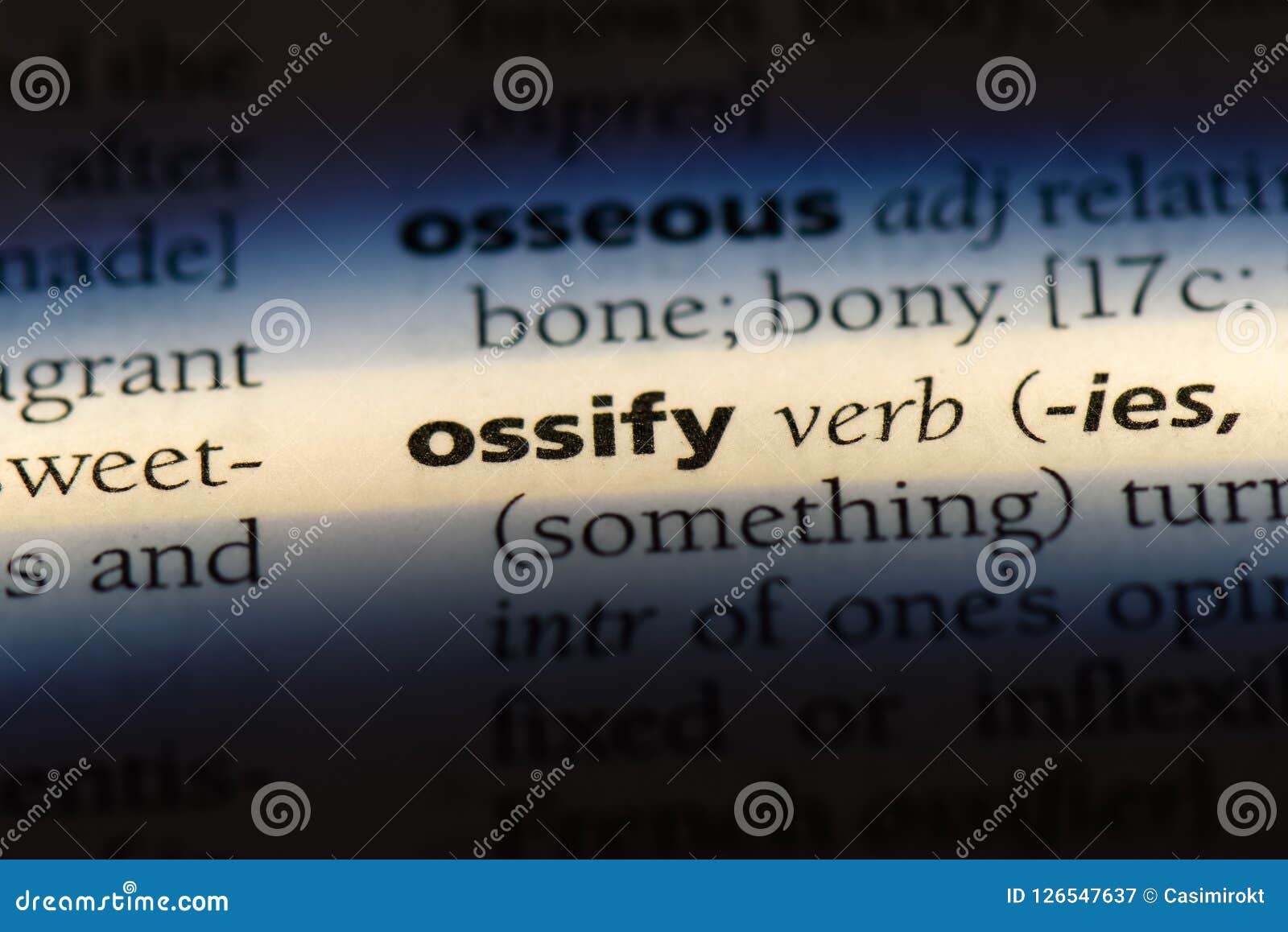 Ossify stock image. Image of paper, info, definition - 126547637