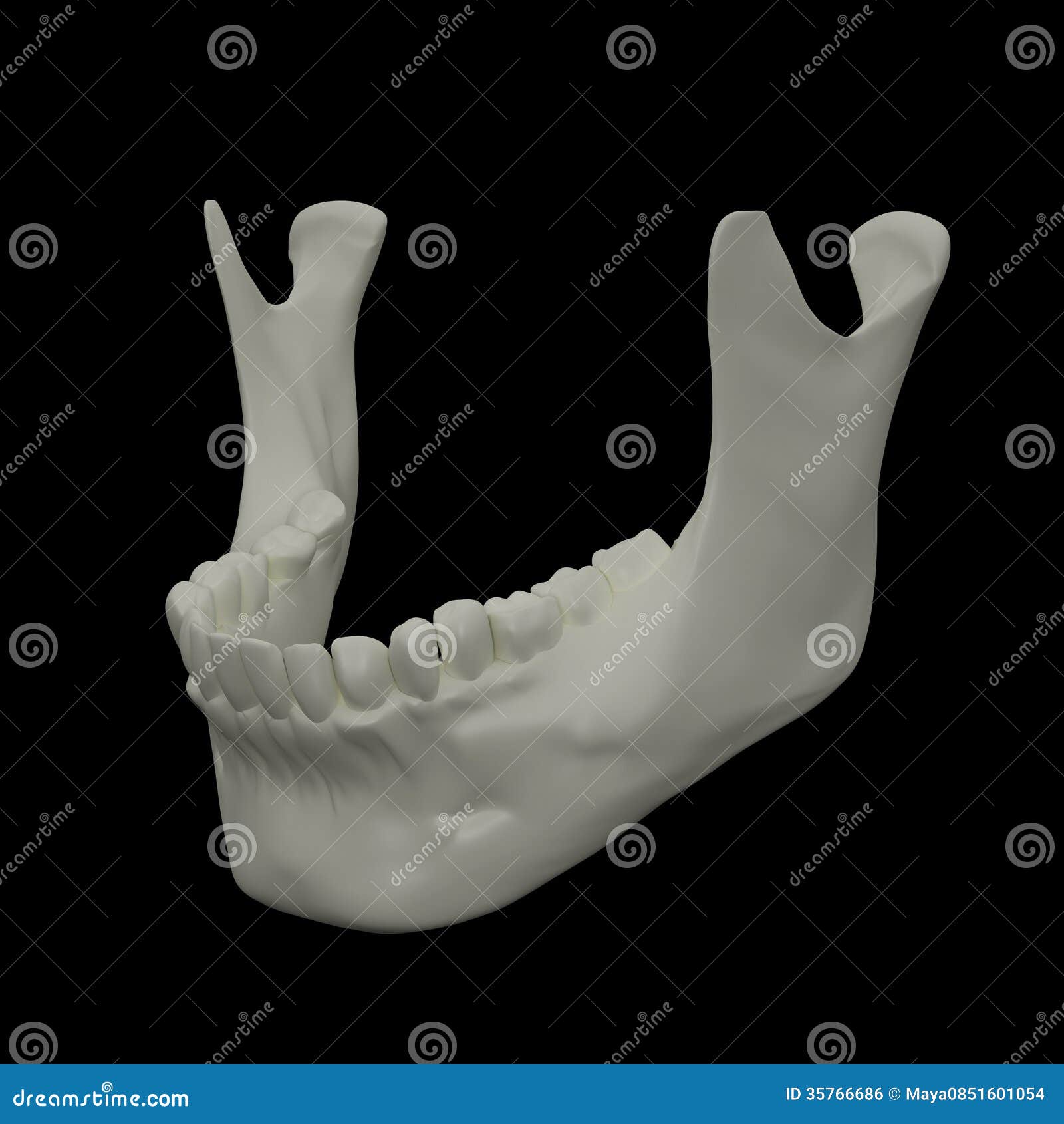 Osso da maxila ilustração stock. Ilustração de velho - 35766686