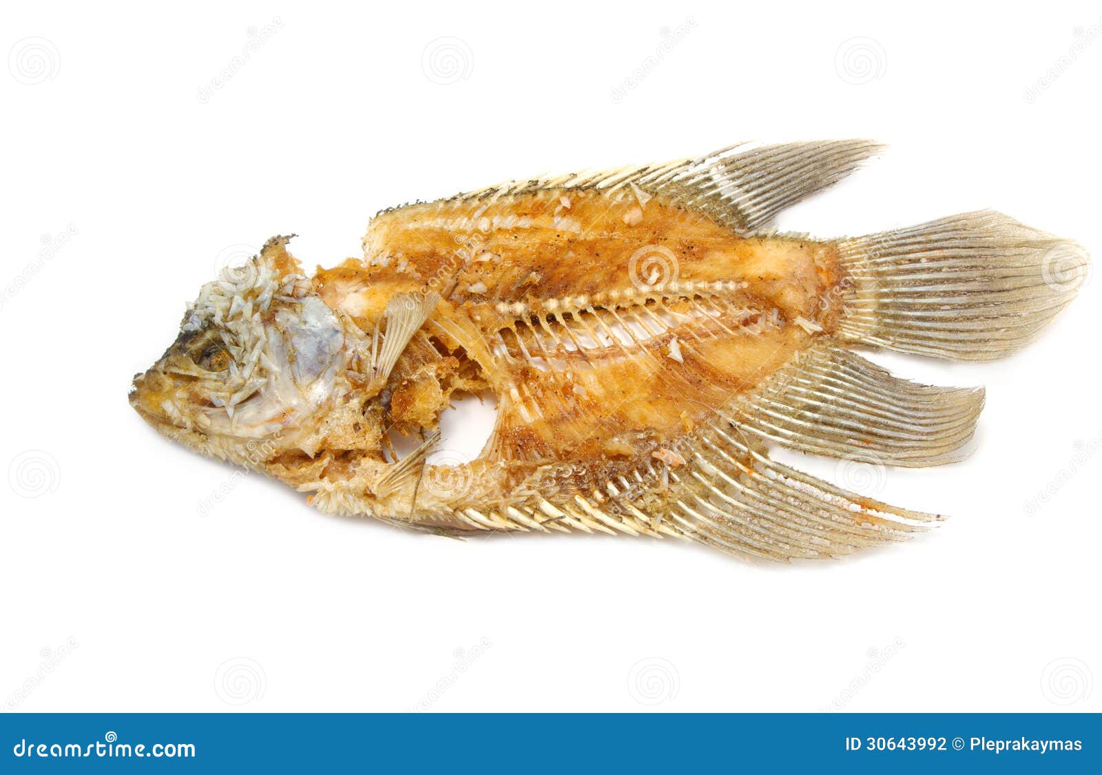 Osso de peixes foto de stock. Imagem de cauda, inoperante - 30643992