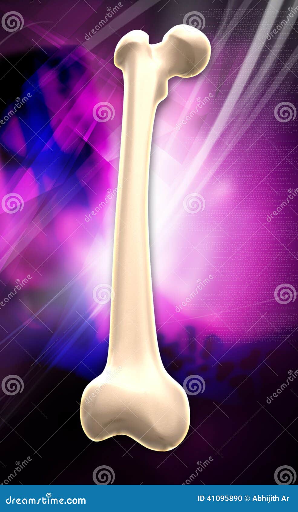 Osso del femore illustrazione di stock. Illustrazione di biologico ...