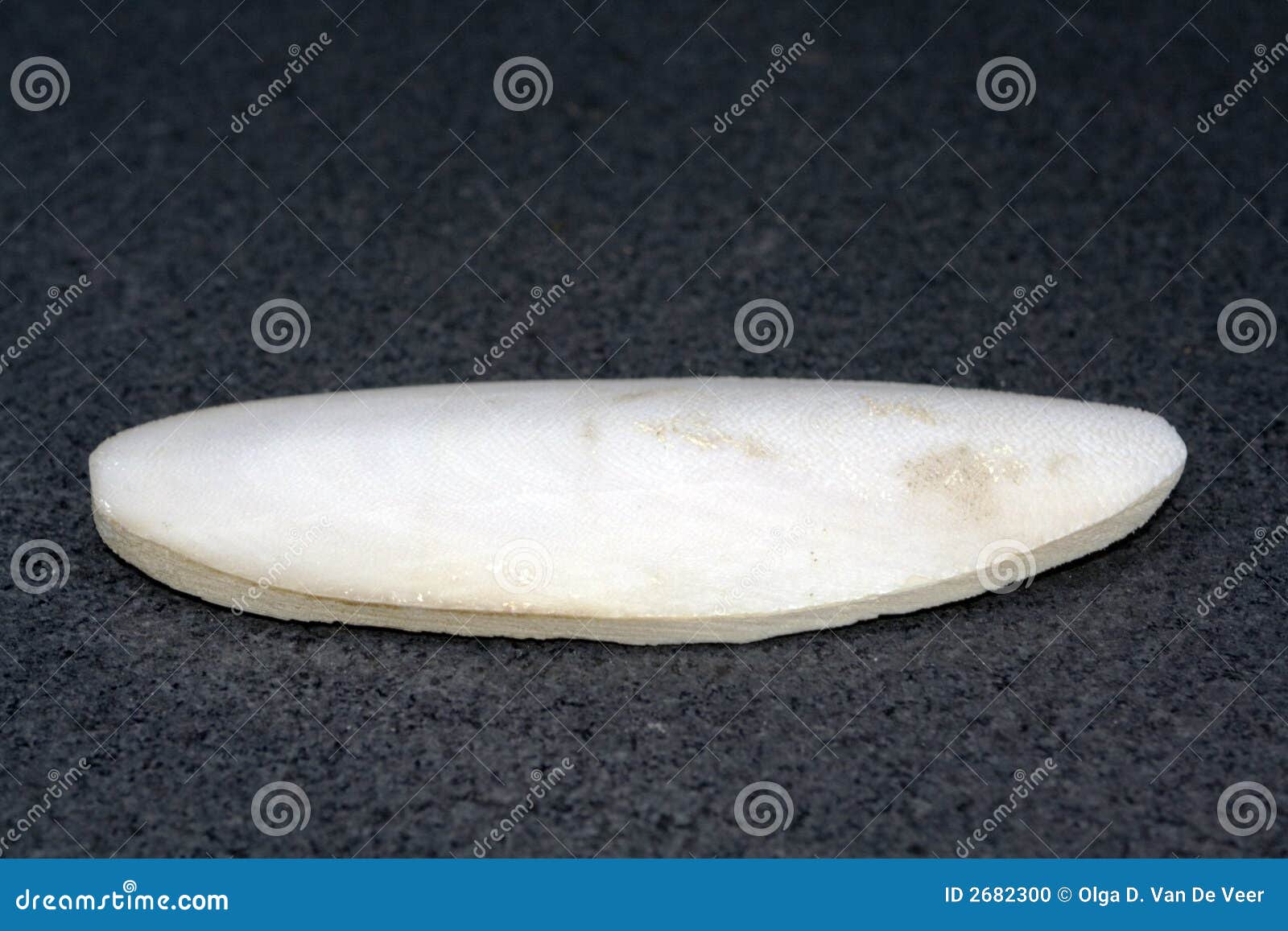 Osso delle seppie fotografia stock. Immagine di alimento - 2682300