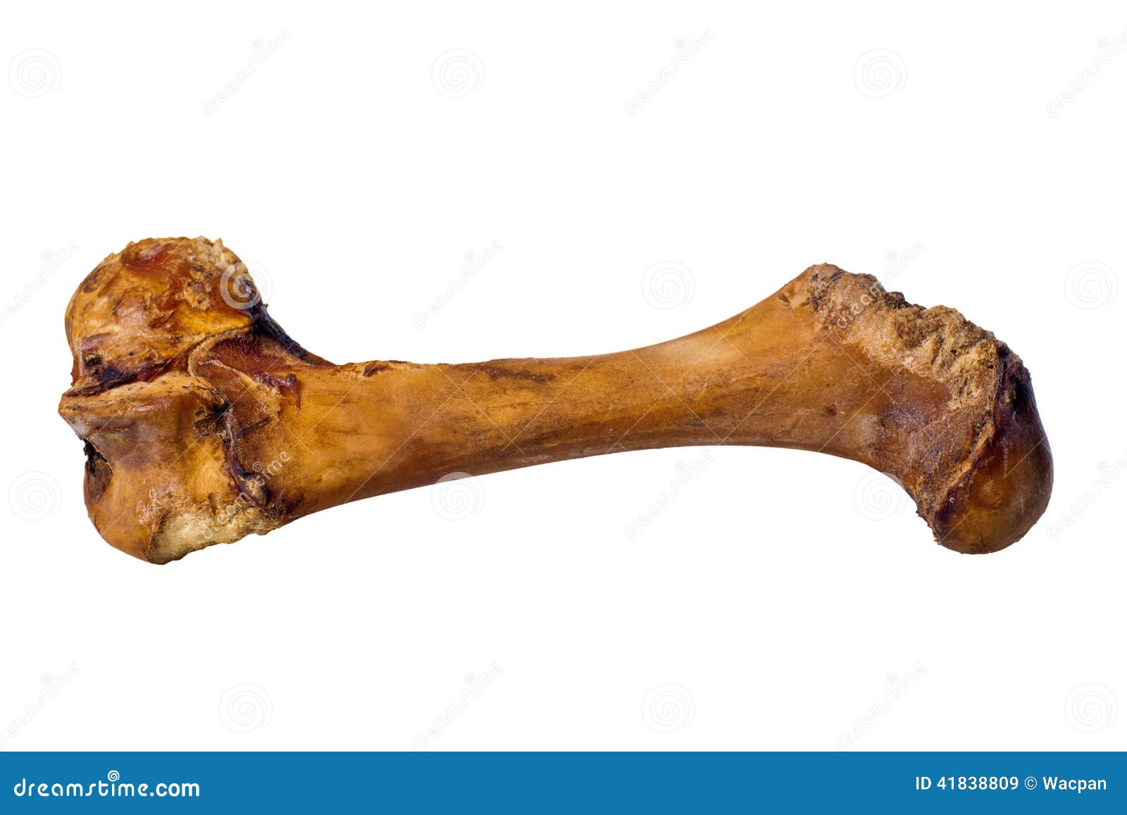 Osso di cane immagine stock. Immagine di pasto, macro - 41838809