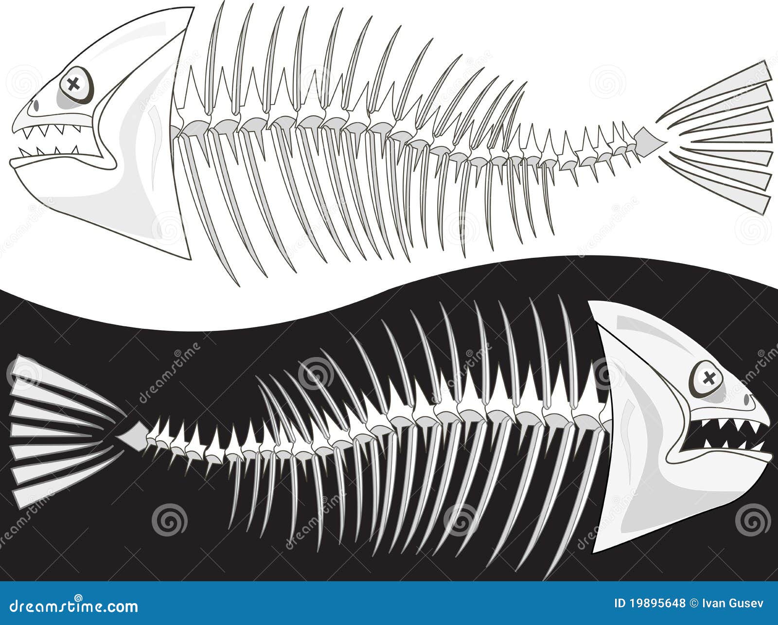 Ossos De Um Esqueleto Dos Peixes Ilustração Stock - Ilustração de ...
