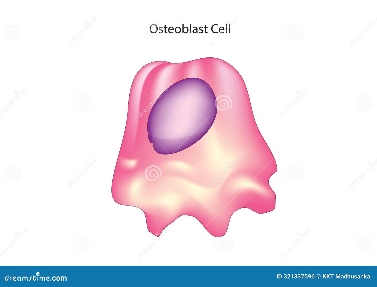 Osteoclasts Cartoons, Illustrations & Vector Stock Images - 120 ...