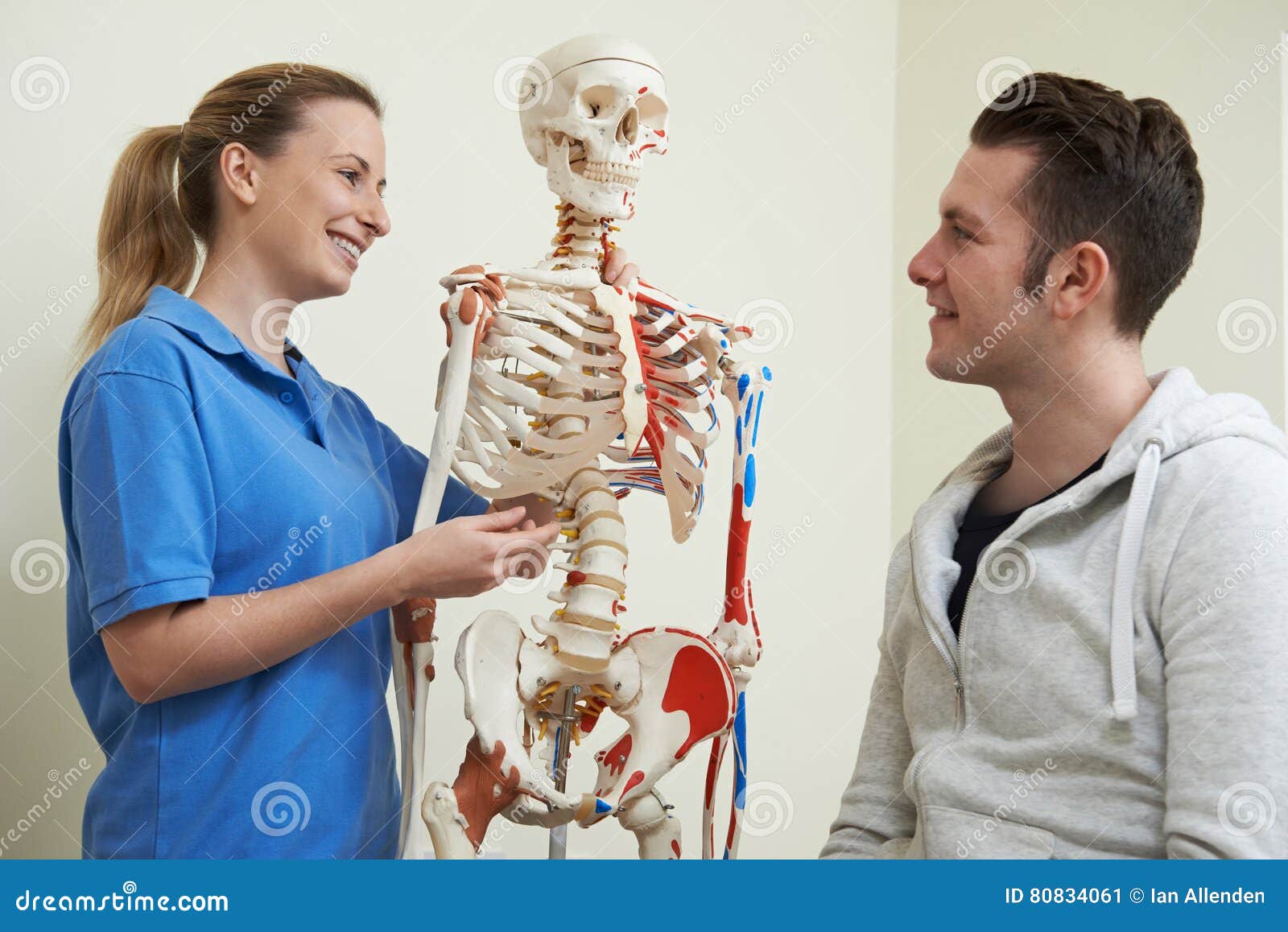 Osteopath Discussing Injury with Patient Using Skeleton Stock Image ...