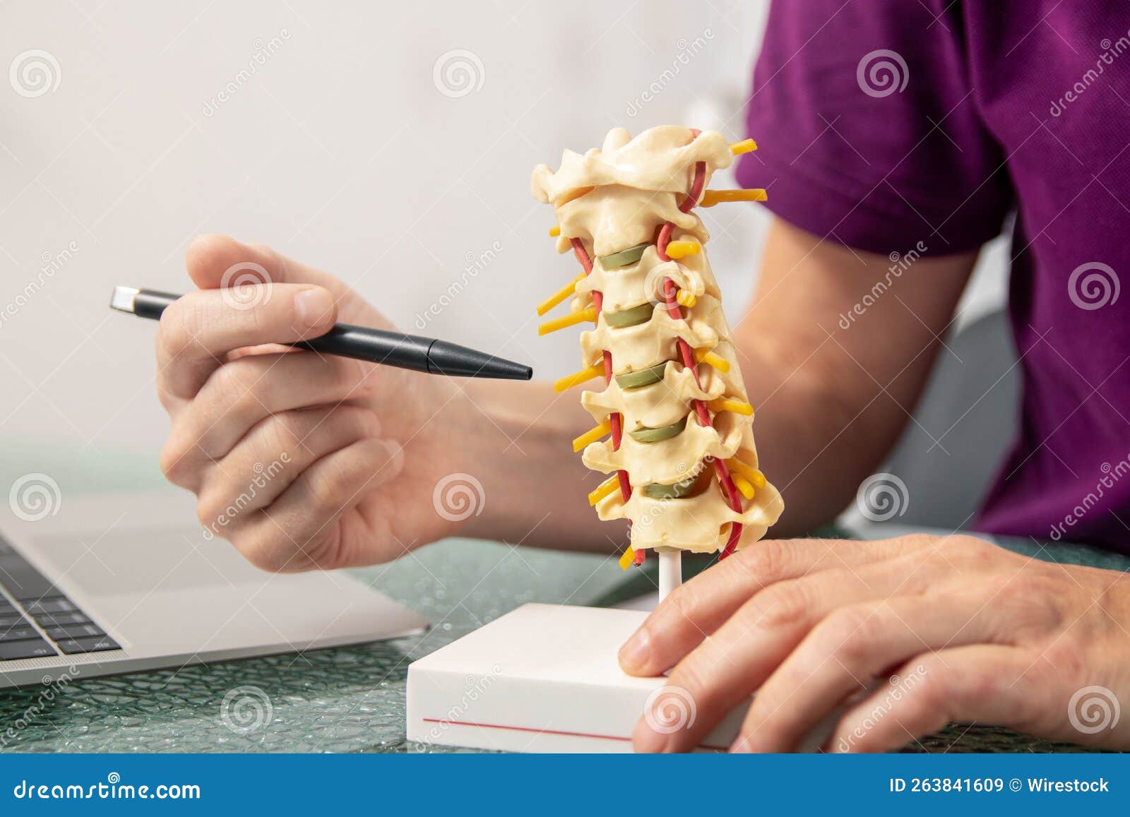 Model Of Spine Showing Porous Bone Marrow In Case Of Osteoporosis Stock ...