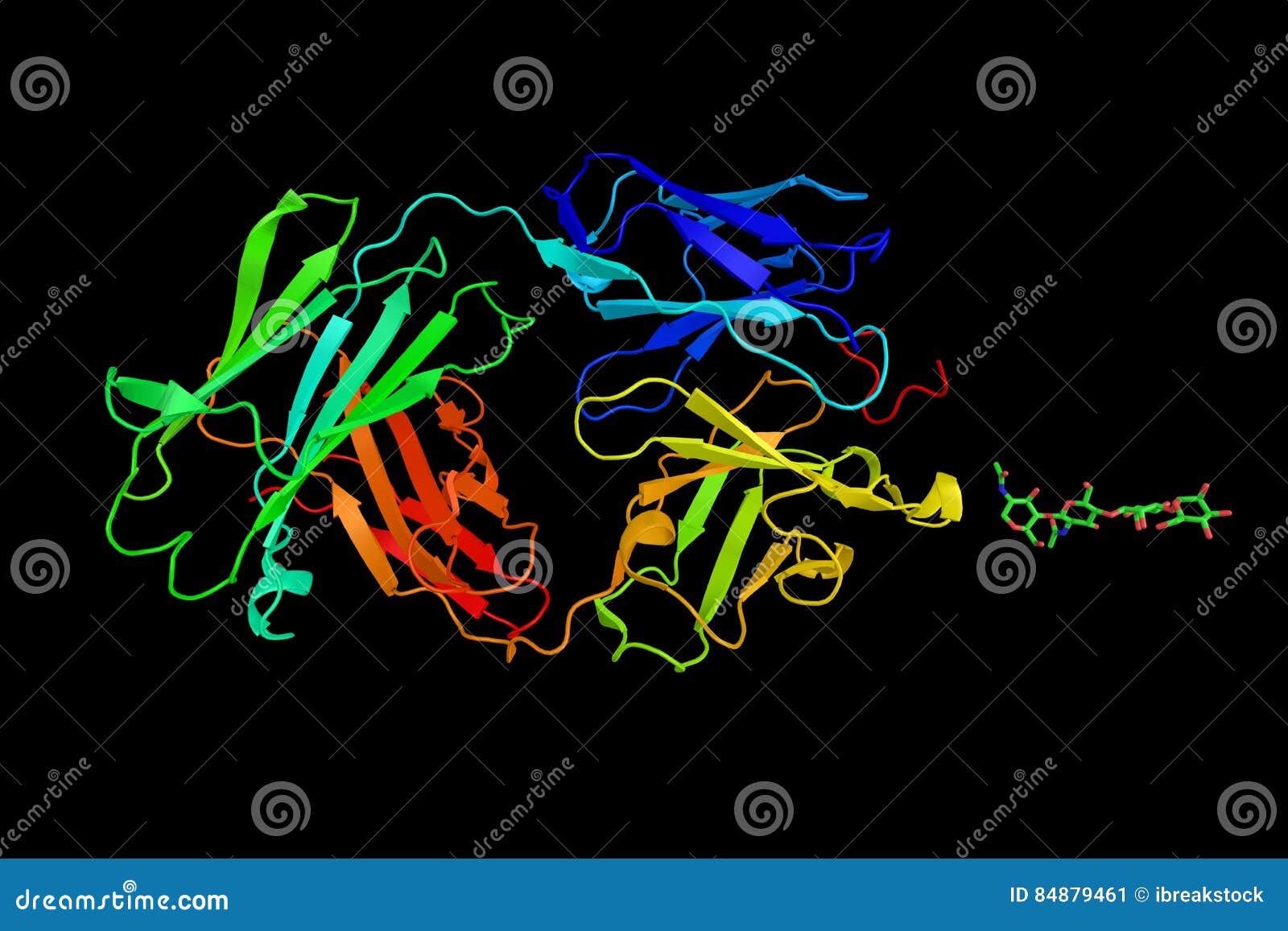 Osteopontin OPN, a Protein with a Role in Biomineralization Stock ...