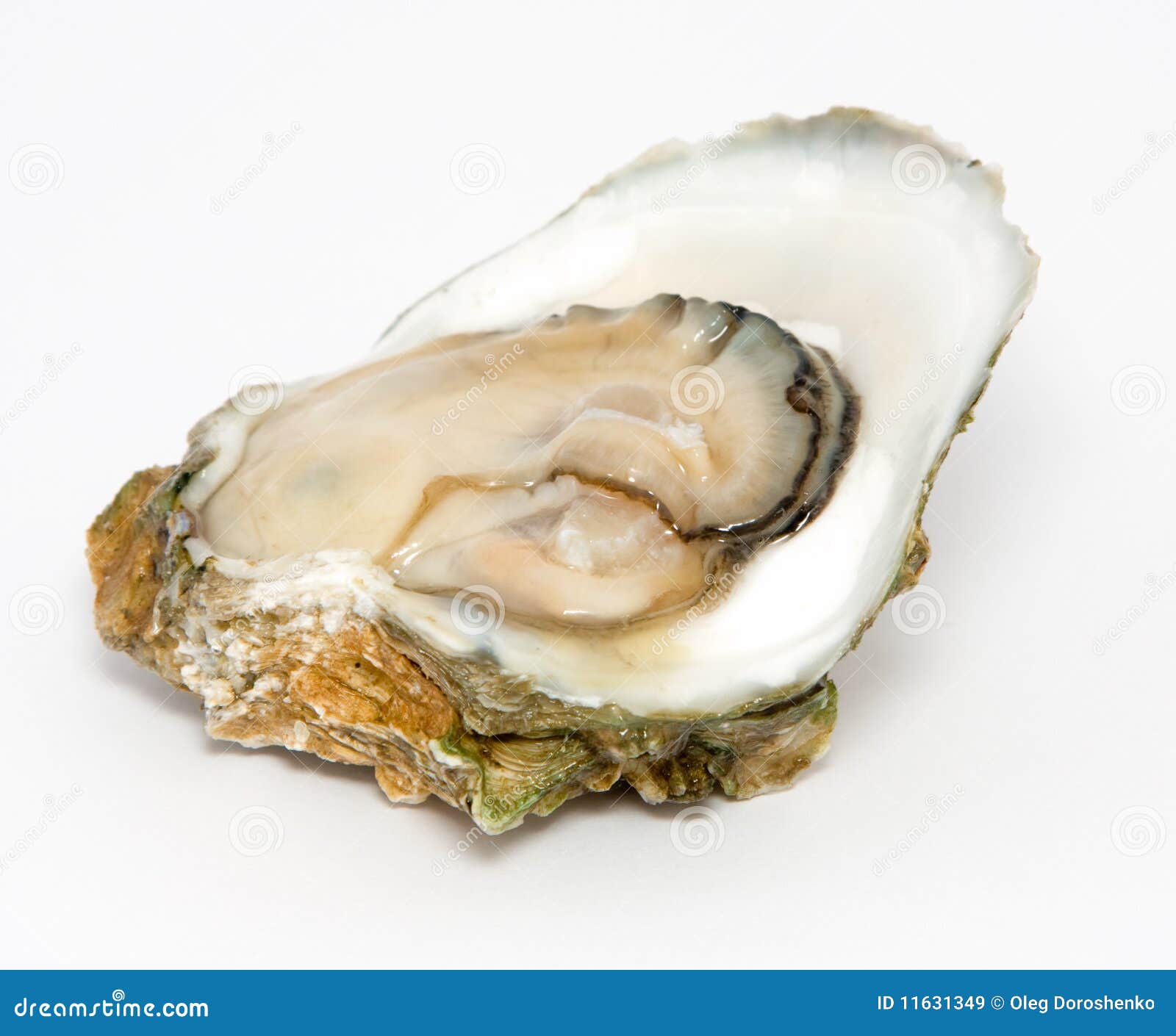 Ostra imagem de stock. Imagem de dieta, nave, aperitivo - 11631349