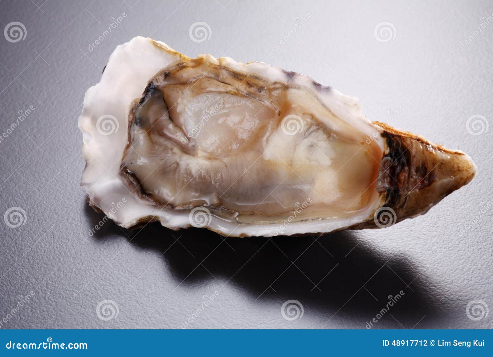 Ostra foto de archivo. Imagen de alimento, foco, selectivo - 48917712