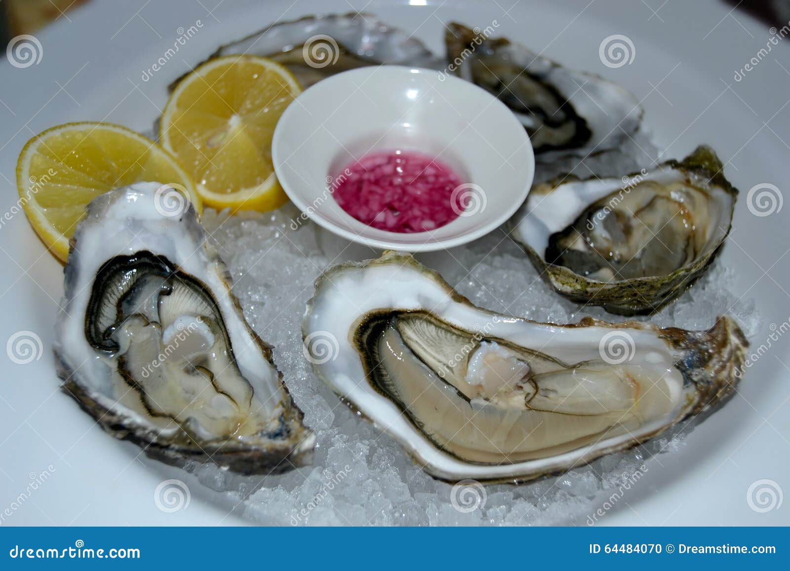 Ostra foto de stock. Imagem de gelo, placa, foto, ostra - 64484070