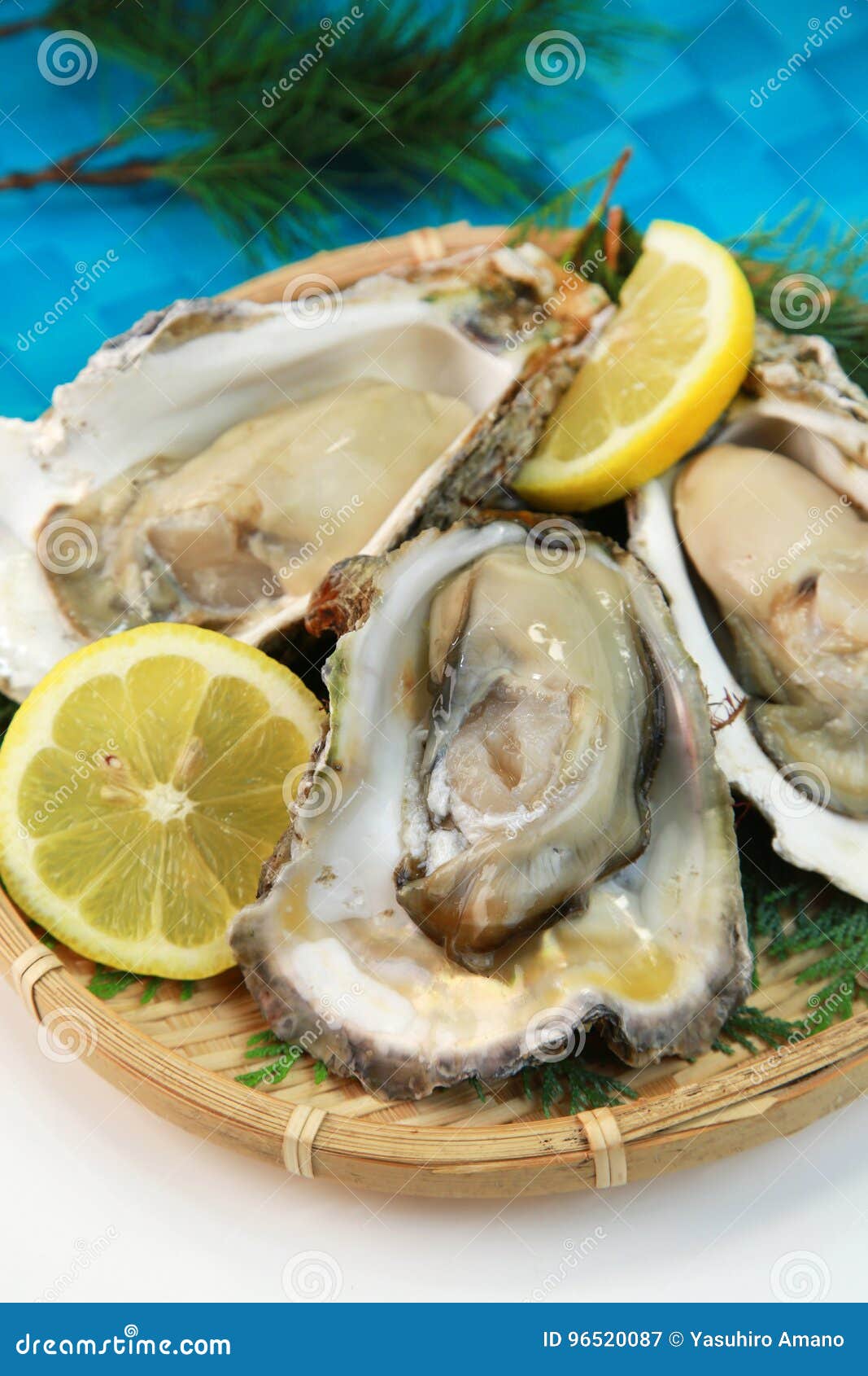 Ostra imagen de archivo. Imagen de placa, fresco, lujo - 96520087