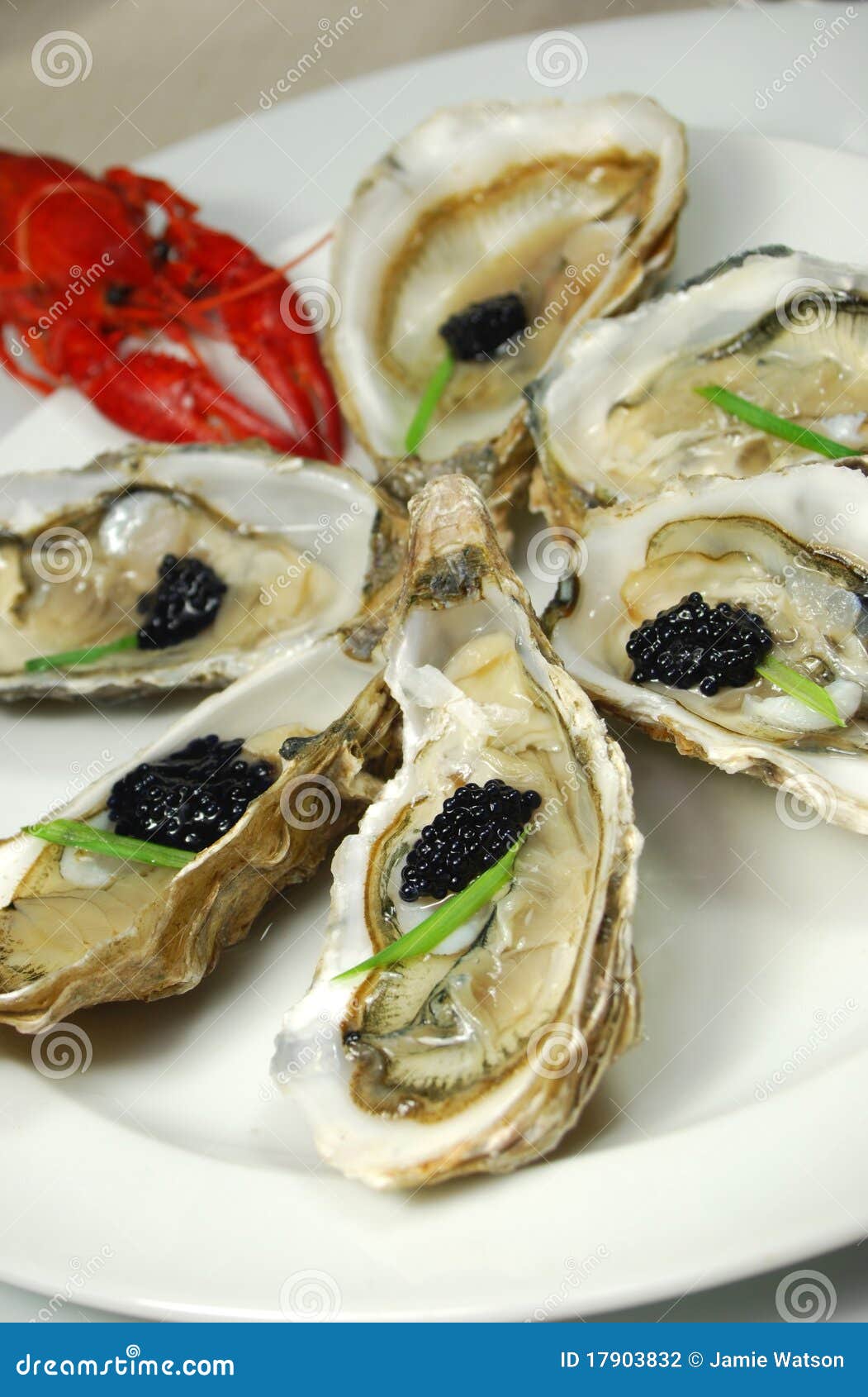 Ostra Con El Caviar Y Los Cangrejos Foto de archivo - Imagen de ...