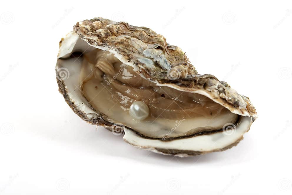 Ostra con la perla foto de archivo. Imagen de aperitivo - 13996546