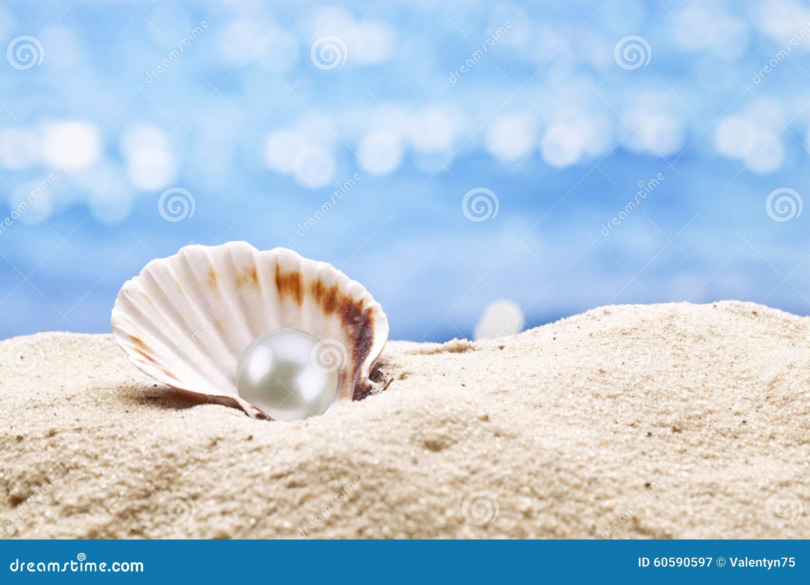 Ostra de perla en la arena imagen de archivo. Imagen de playa - 60590597