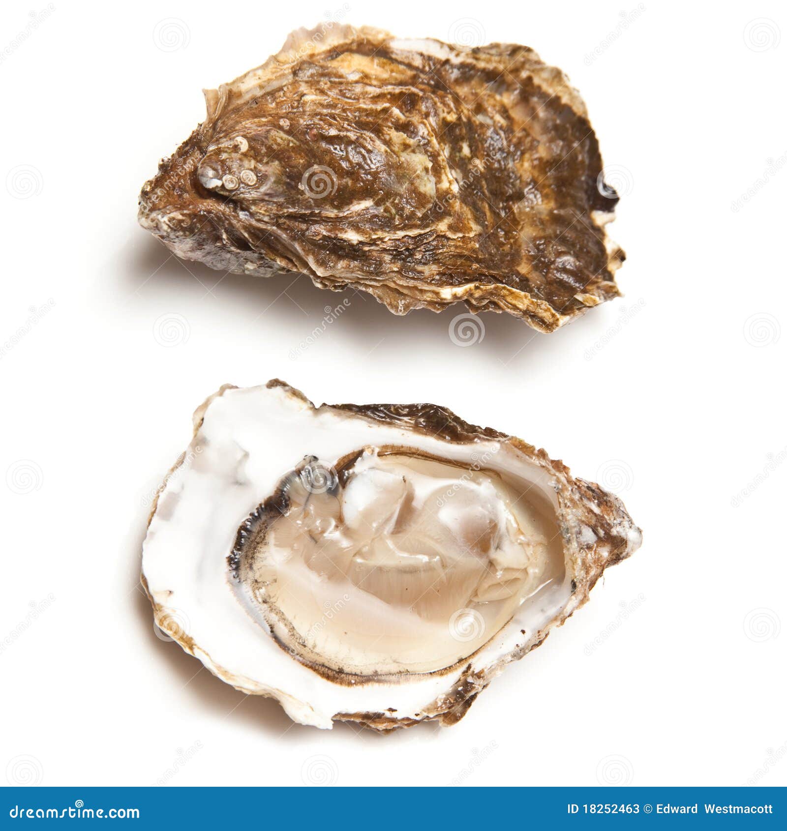 Ostras imagem de stock. Imagem de refinado, apetite, peixes - 18252463