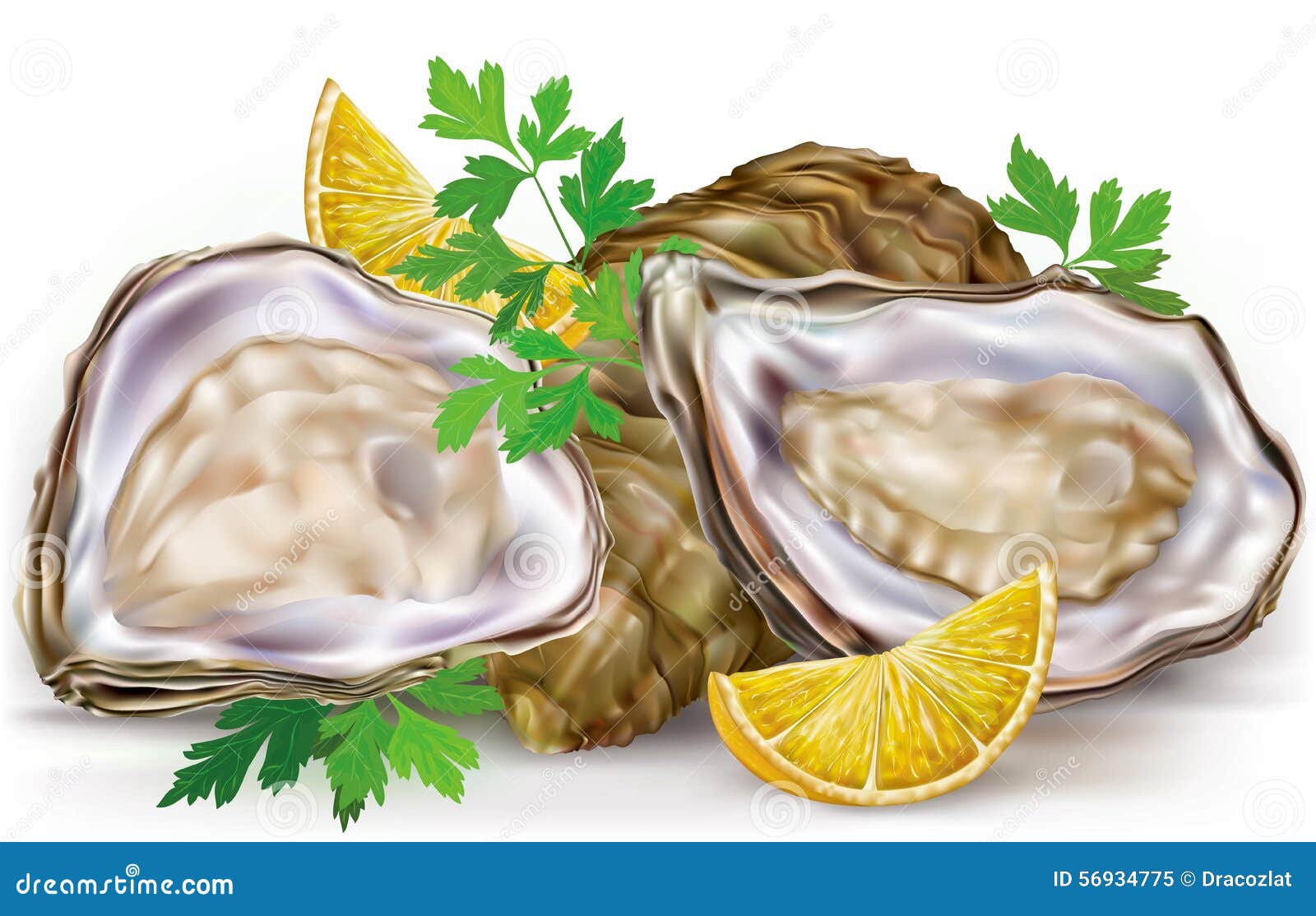 Ostras frescas com cal ilustração stock. Ilustração de delicatessen ...