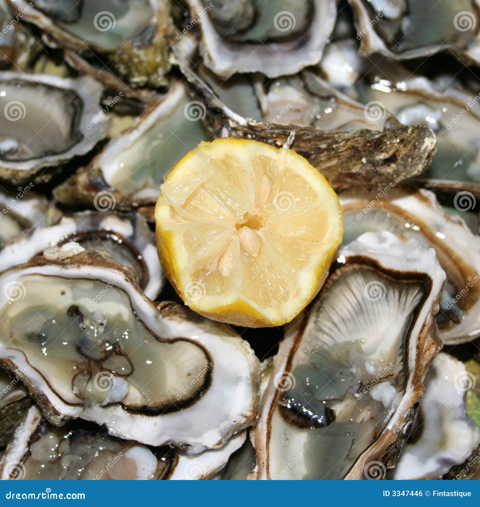 Ostras Frescas Prontas Para Comer Foto de Stock - Imagem de corte ...