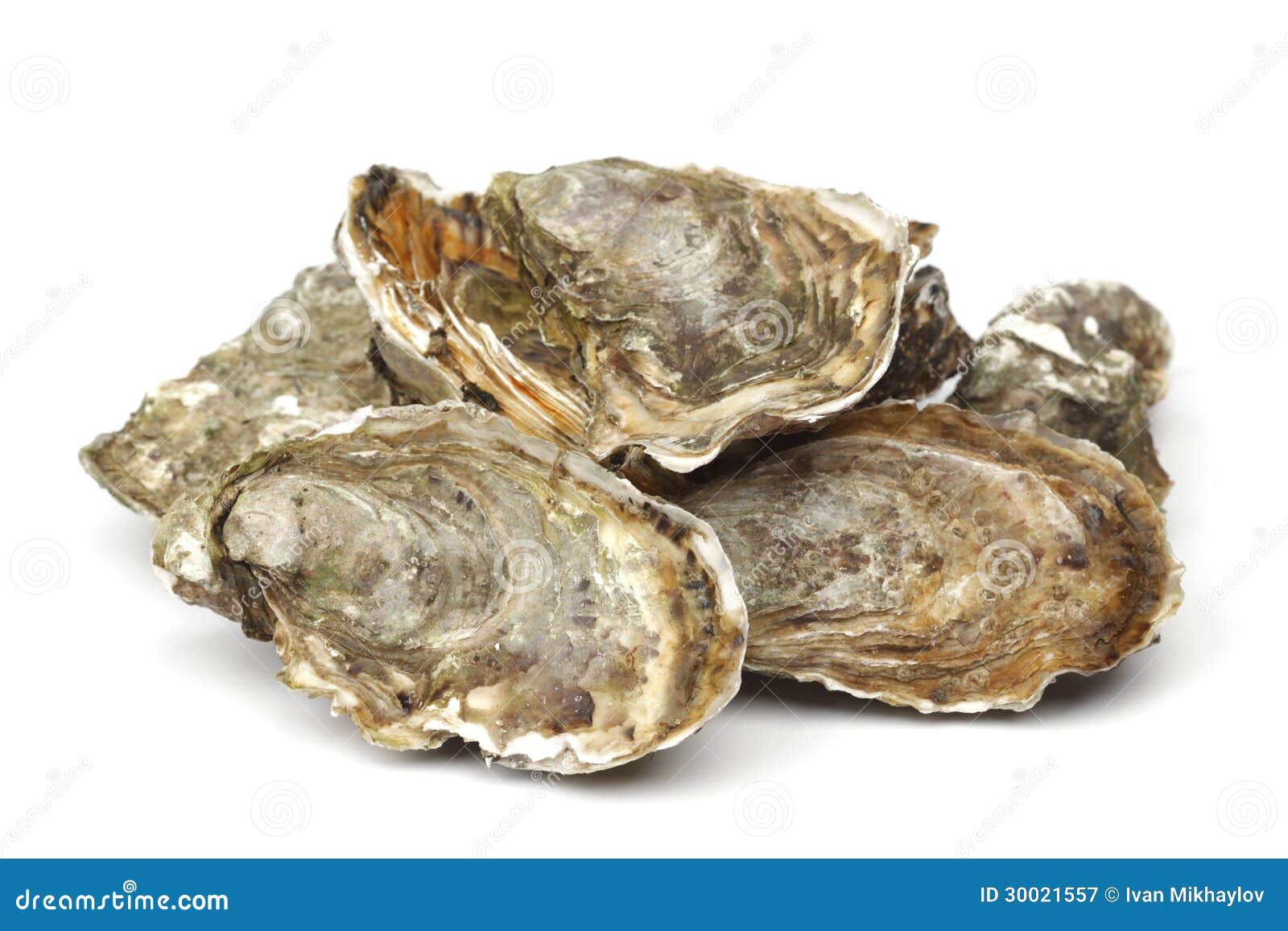 Ostras no branco imagem de stock. Imagem de macro, mediterrâneo - 30021557