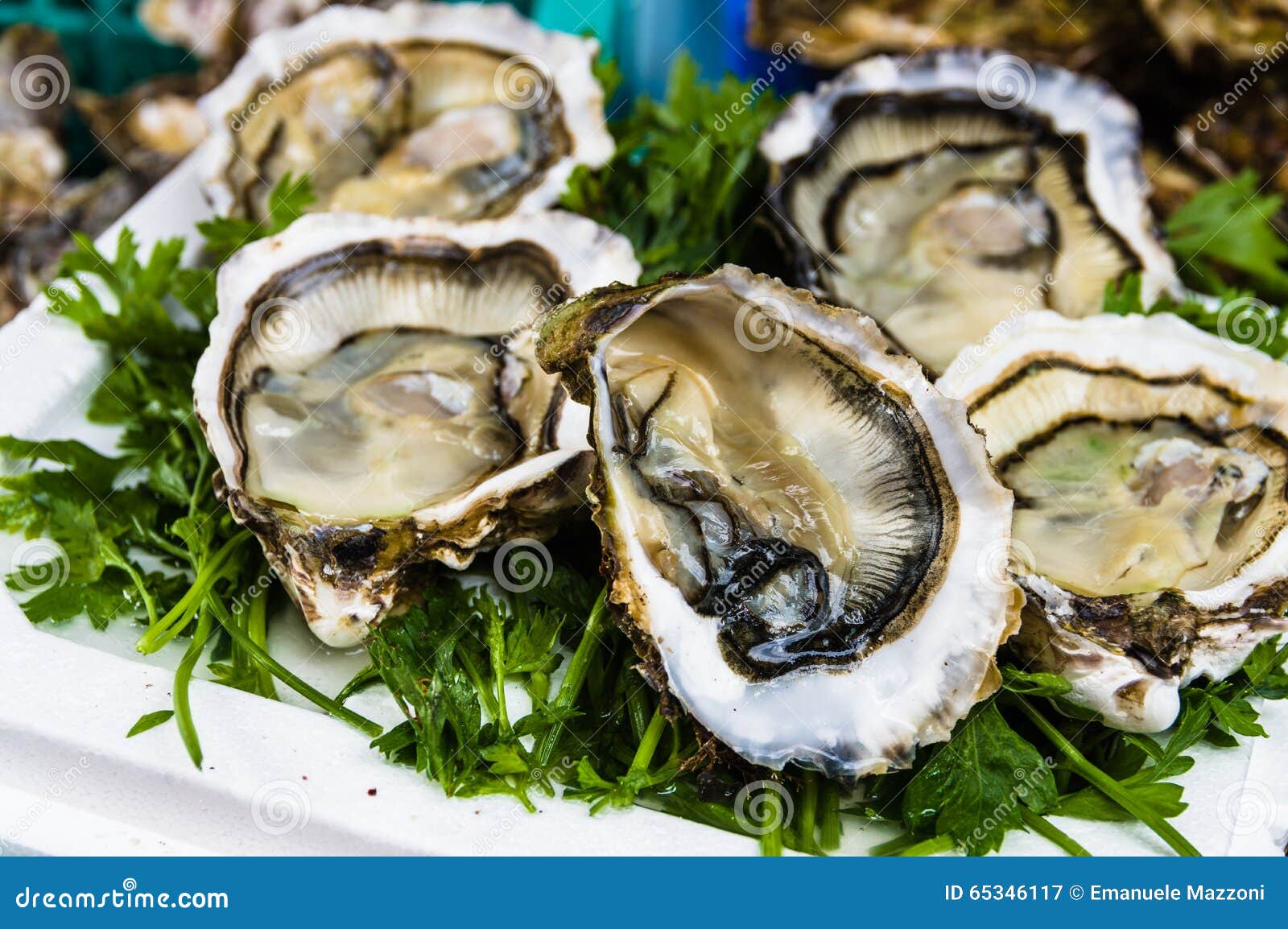 Ostras No Mercado Em França Imagem de Stock - Imagem de luxo, meio ...