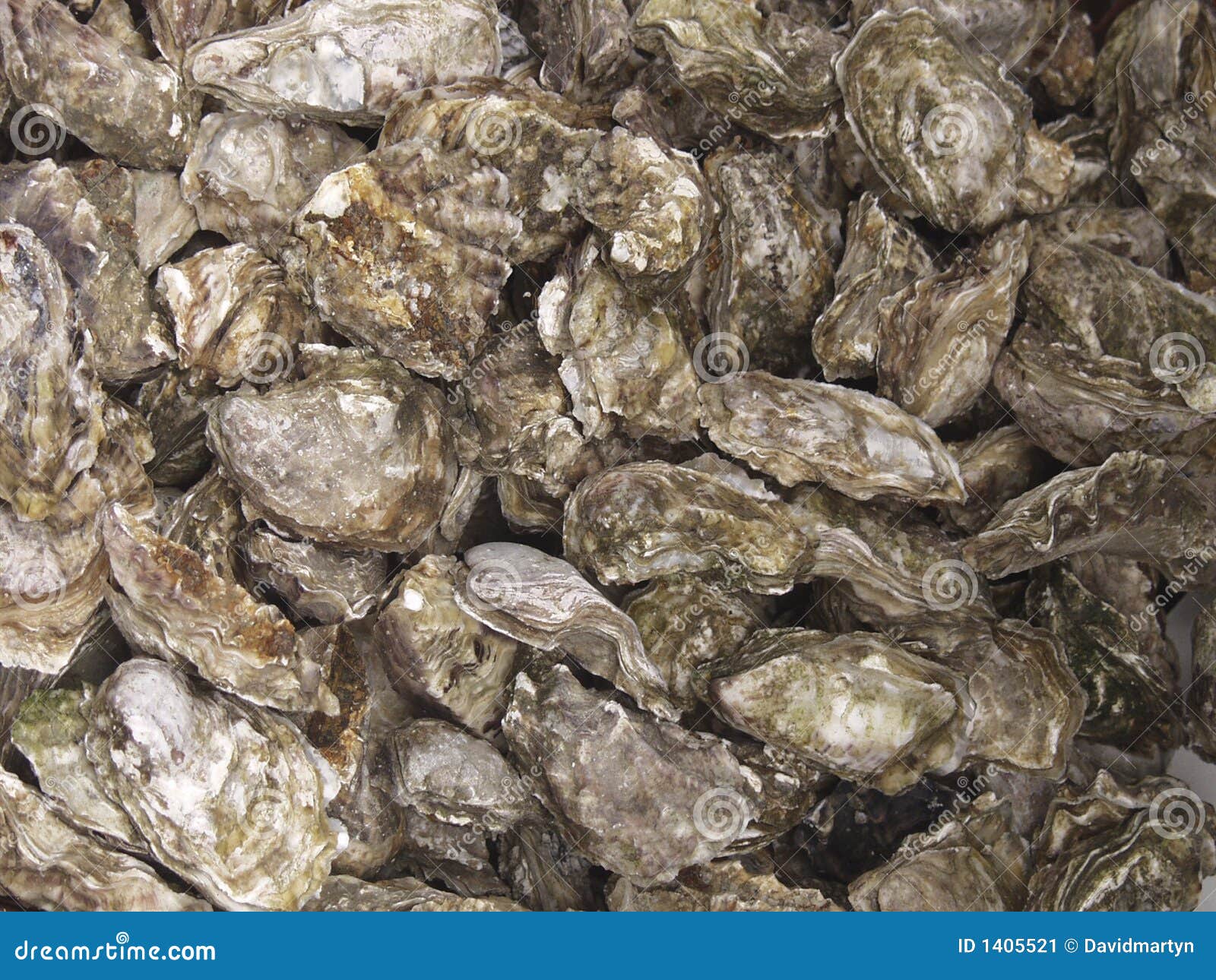 Ostras Para El Alimento De Mar De La Venta Imagen de archivo - Imagen ...