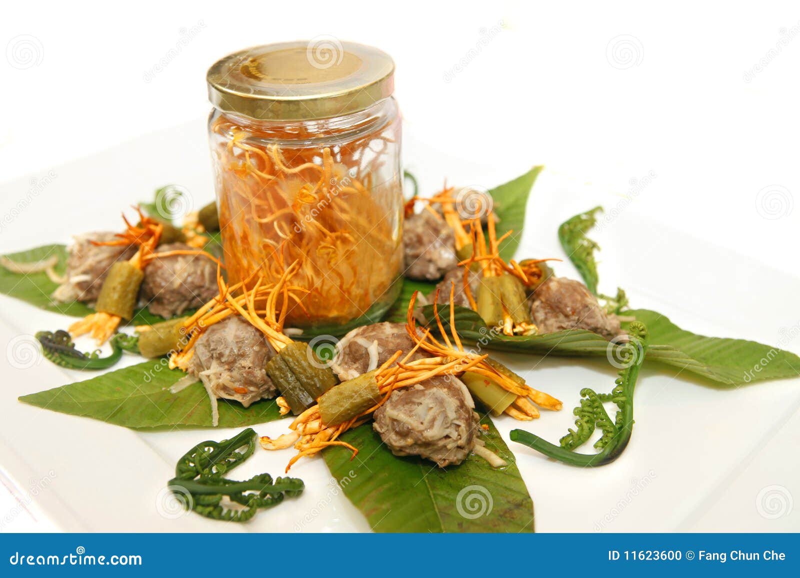 Ostrich stock photo. Image of herb, white, food, healthy - 11623600