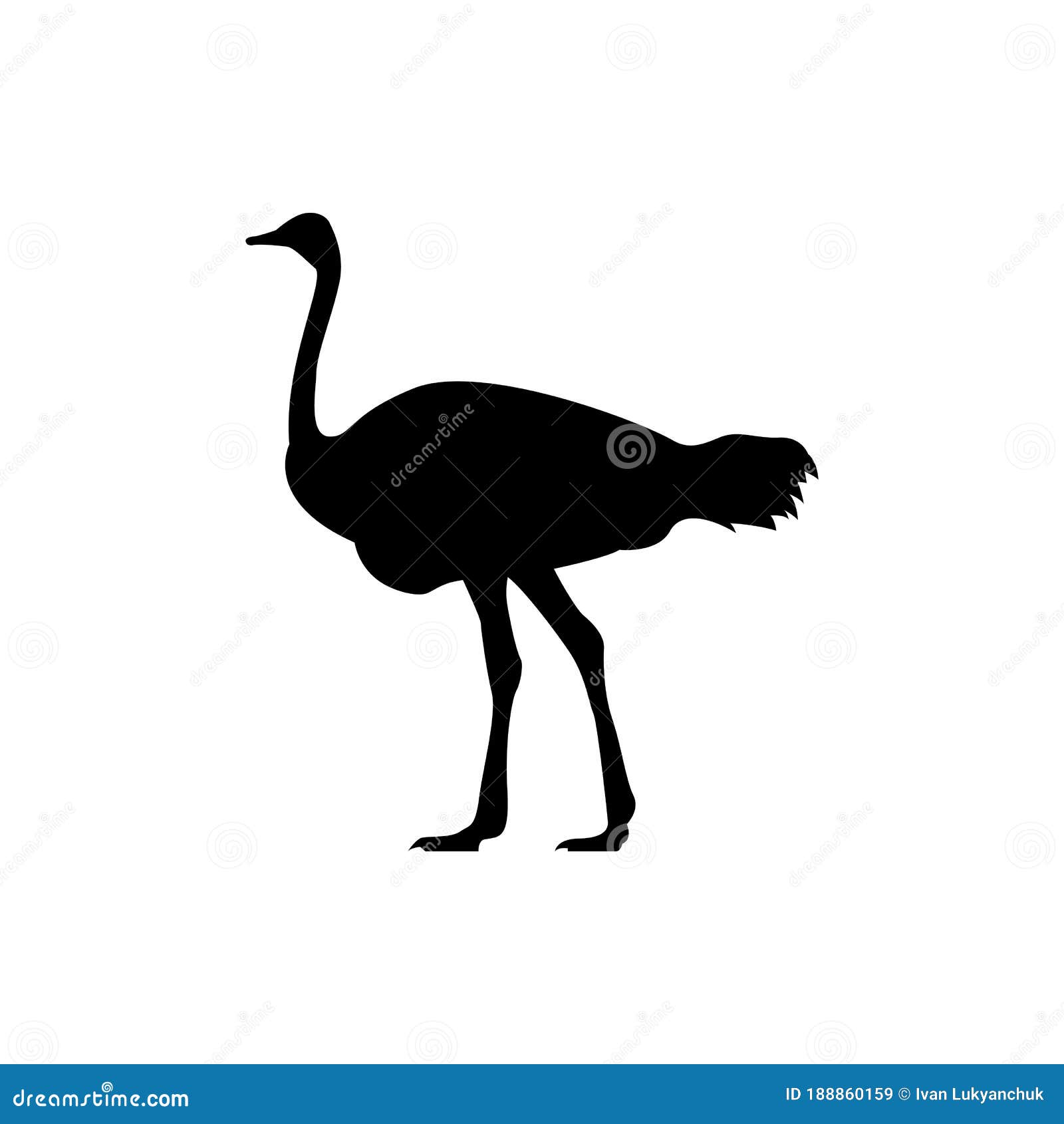 Ostrich Silhouette Cartoon Vector | CartoonDealer.com #209798489