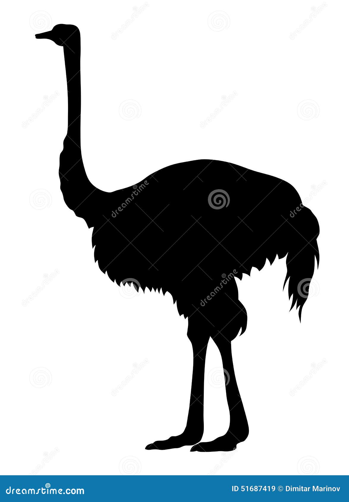 Ostrich Silhouette