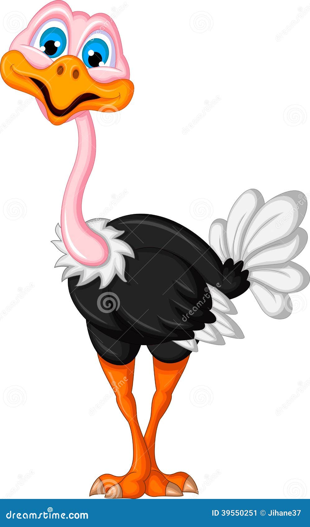 Ostrich cartoon isolated stock illustration. Illustration of animal ...