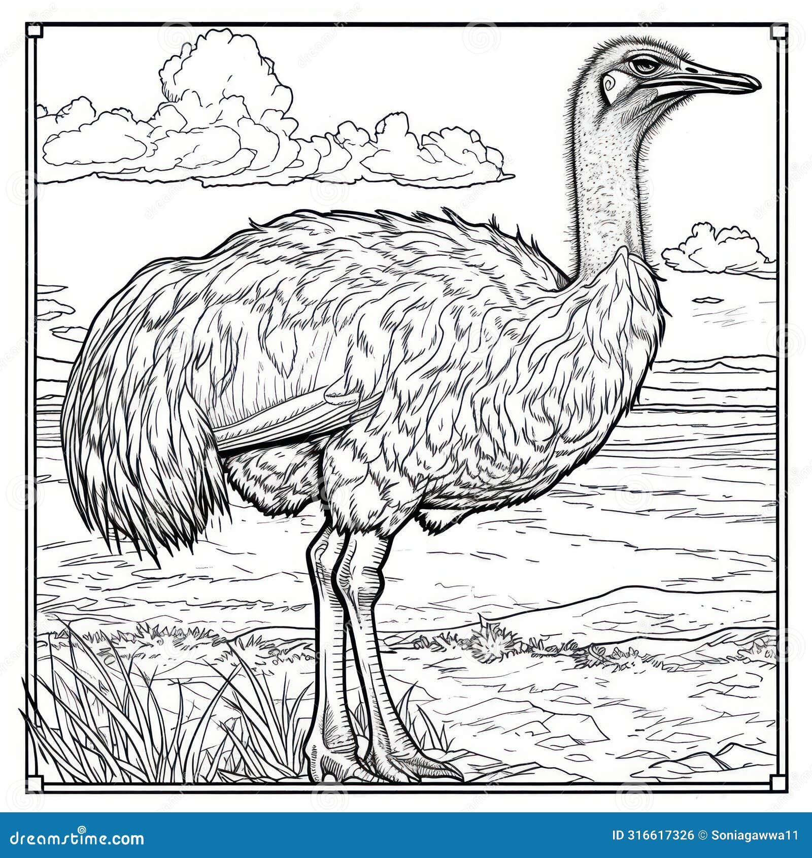 Ostrich Drawing Coloring Book Page Stock Illustration - Illustration of ...