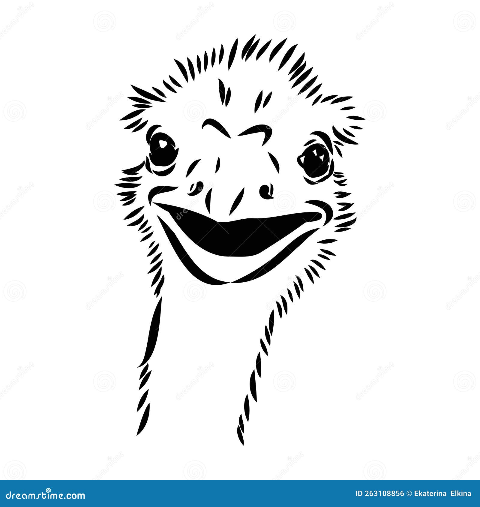 Ostrich Hand Drawn Vector Animal Illustration Ostrich Vector Stock ...