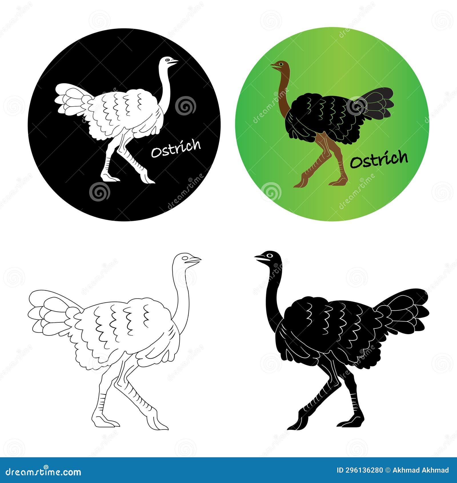 Ostrich icon stock vector. Illustration of fauna, wildlife - 296136280