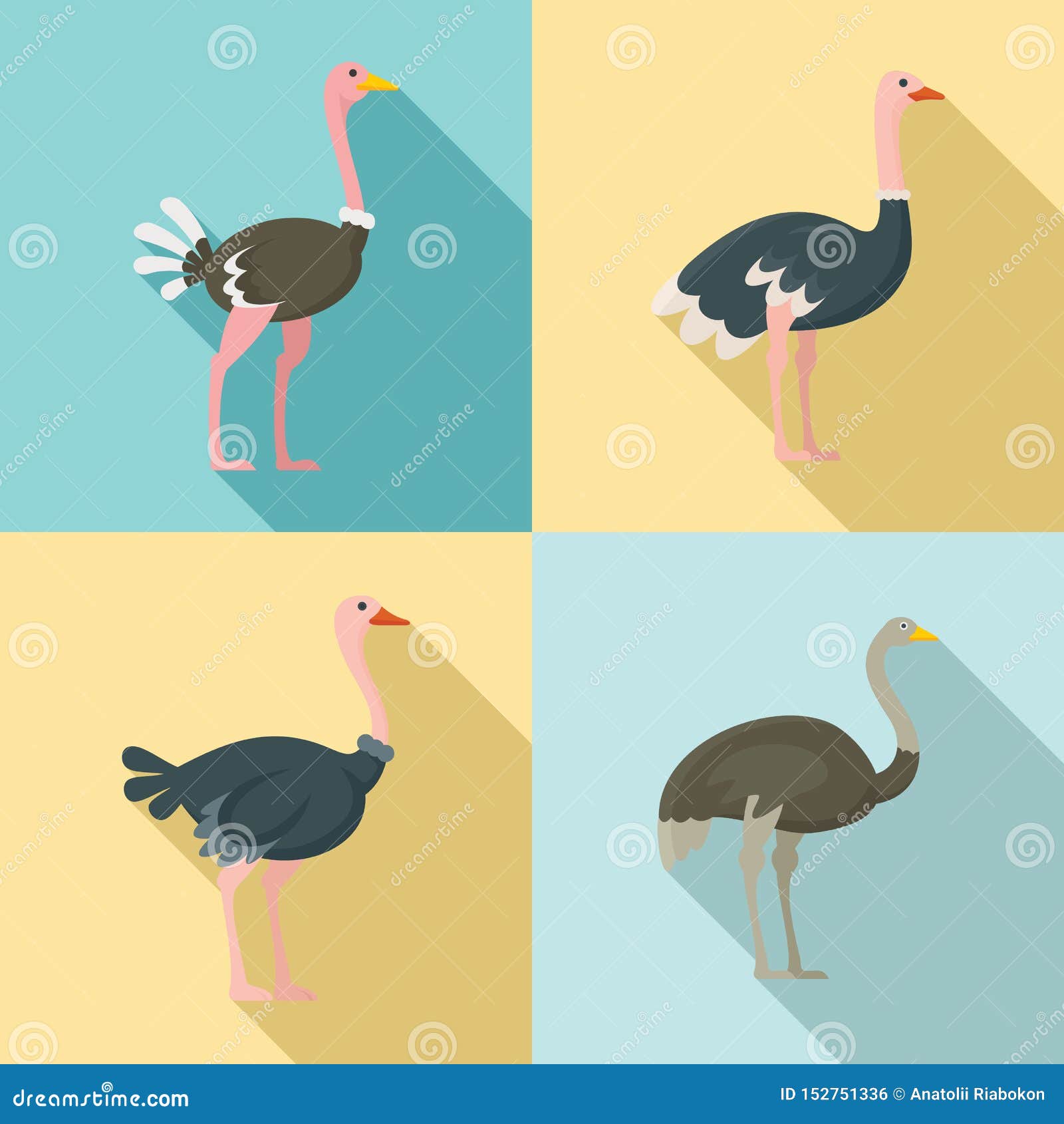 Ostrich Icons Set, Flat Style Stock Vector - Illustration of burying ...