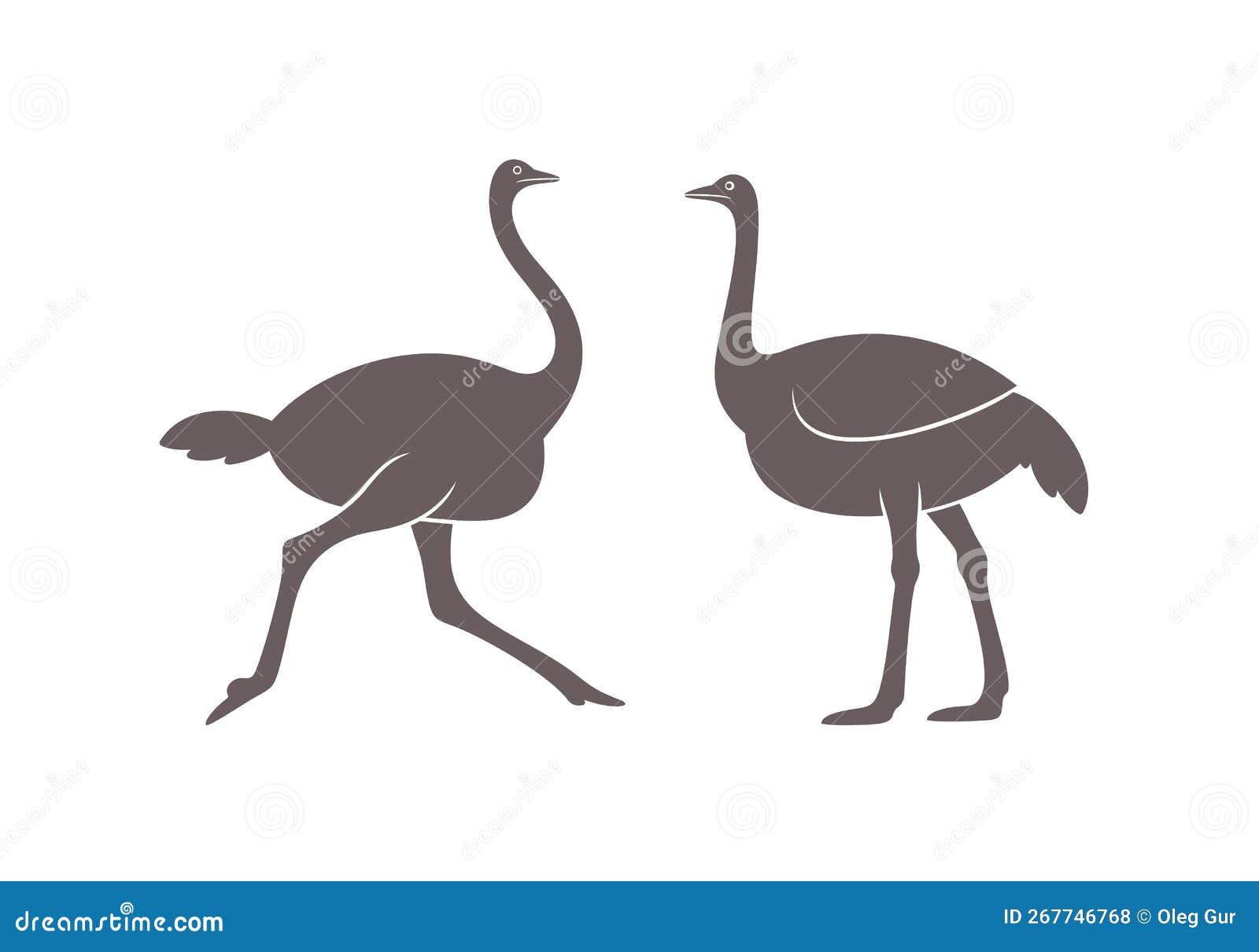 Ostrich Logo. Isolated Ostrich on White Background Stock Vector ...