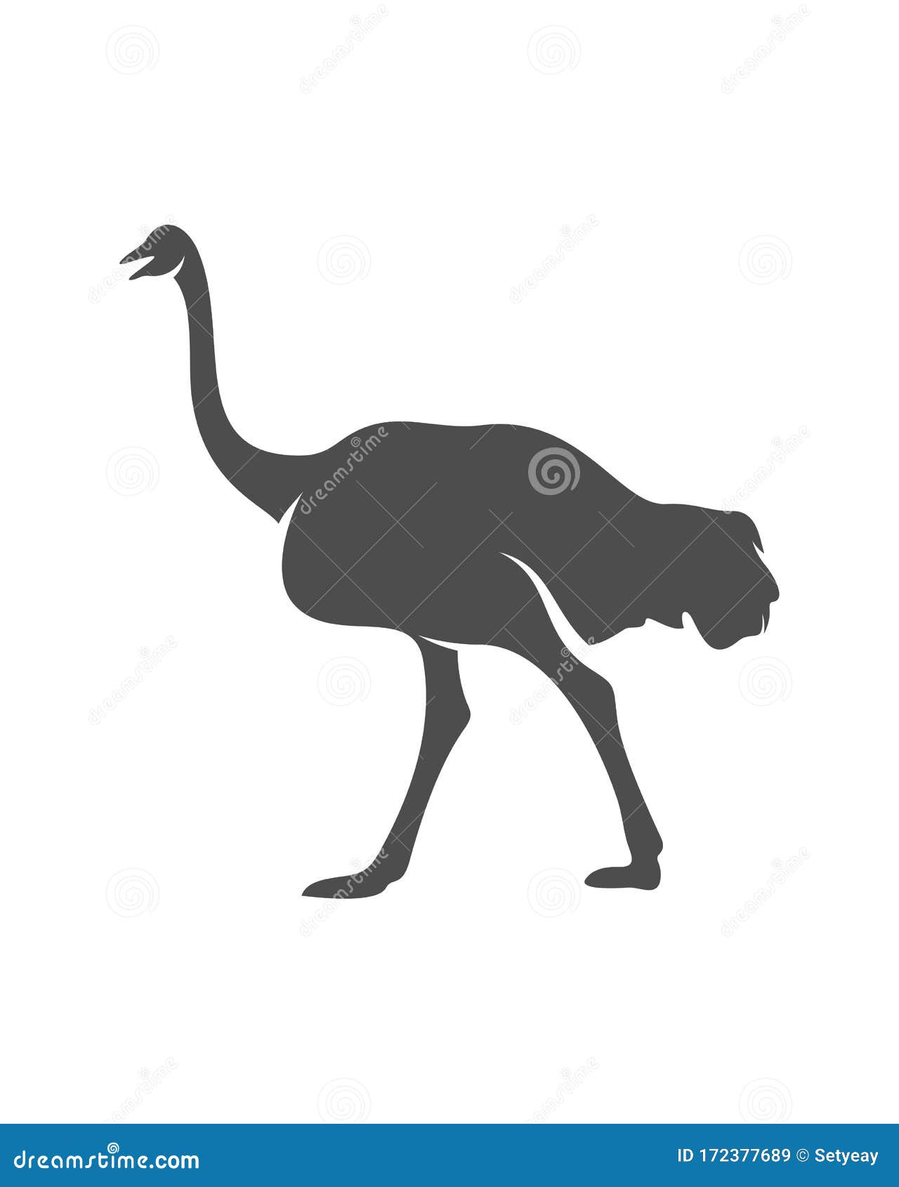 Ostrich Logo Vector, Animal Graphic, Ostrich Design Template ...