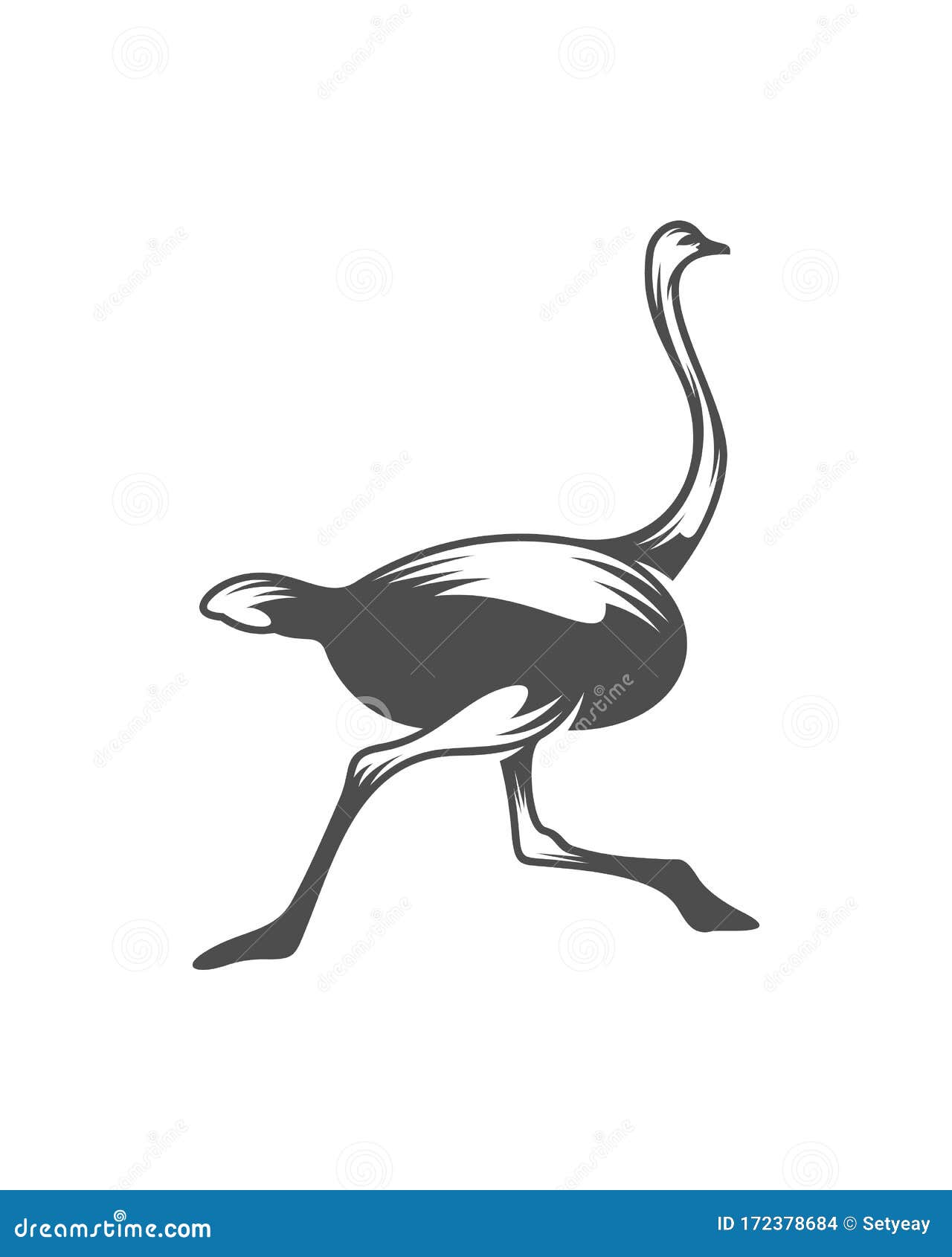 Ostrich Logo Vector, Animal Graphic, Ostrich Design Template ...