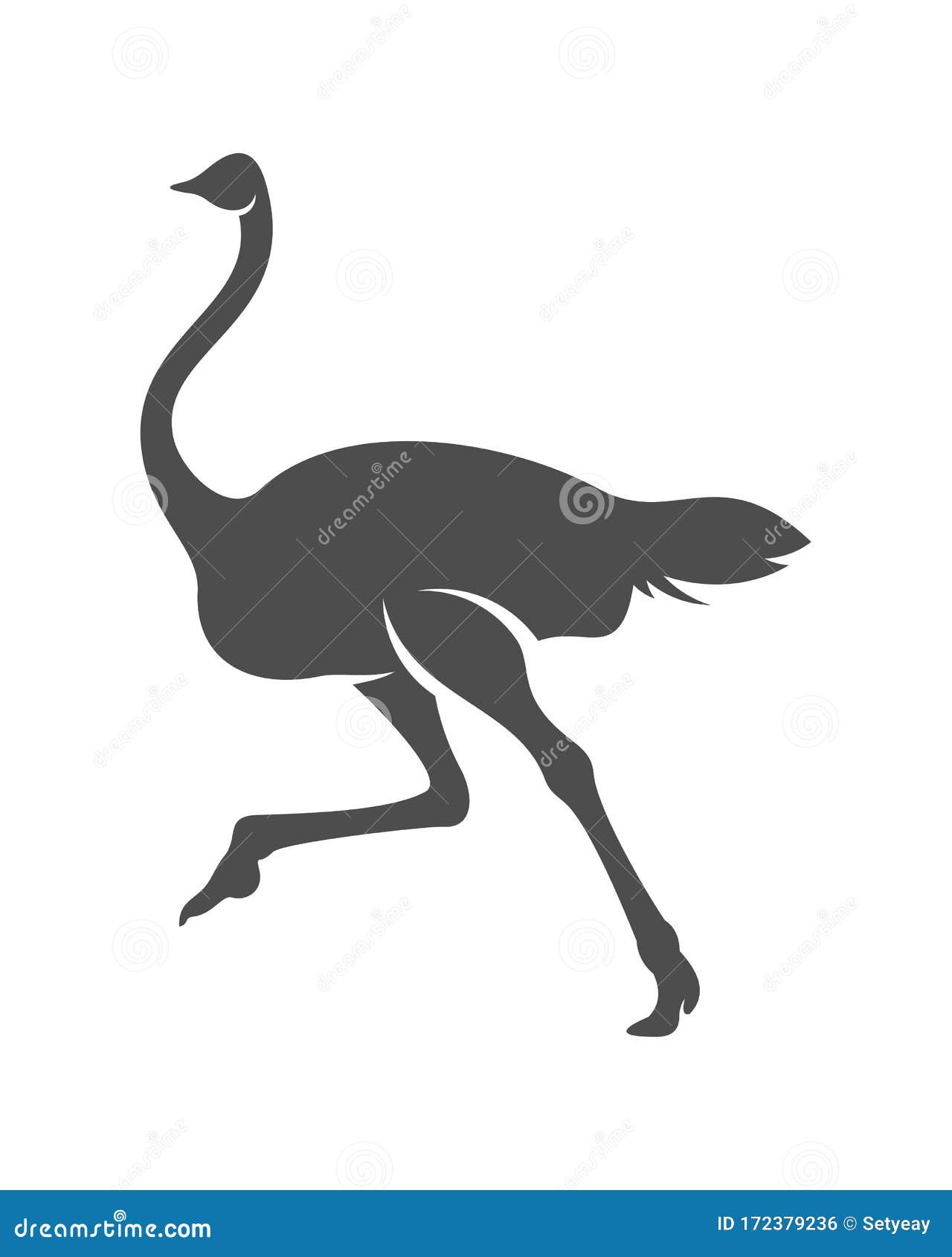 Ostrich Logo Vector, Animal Graphic, Ostrich Design Template ...