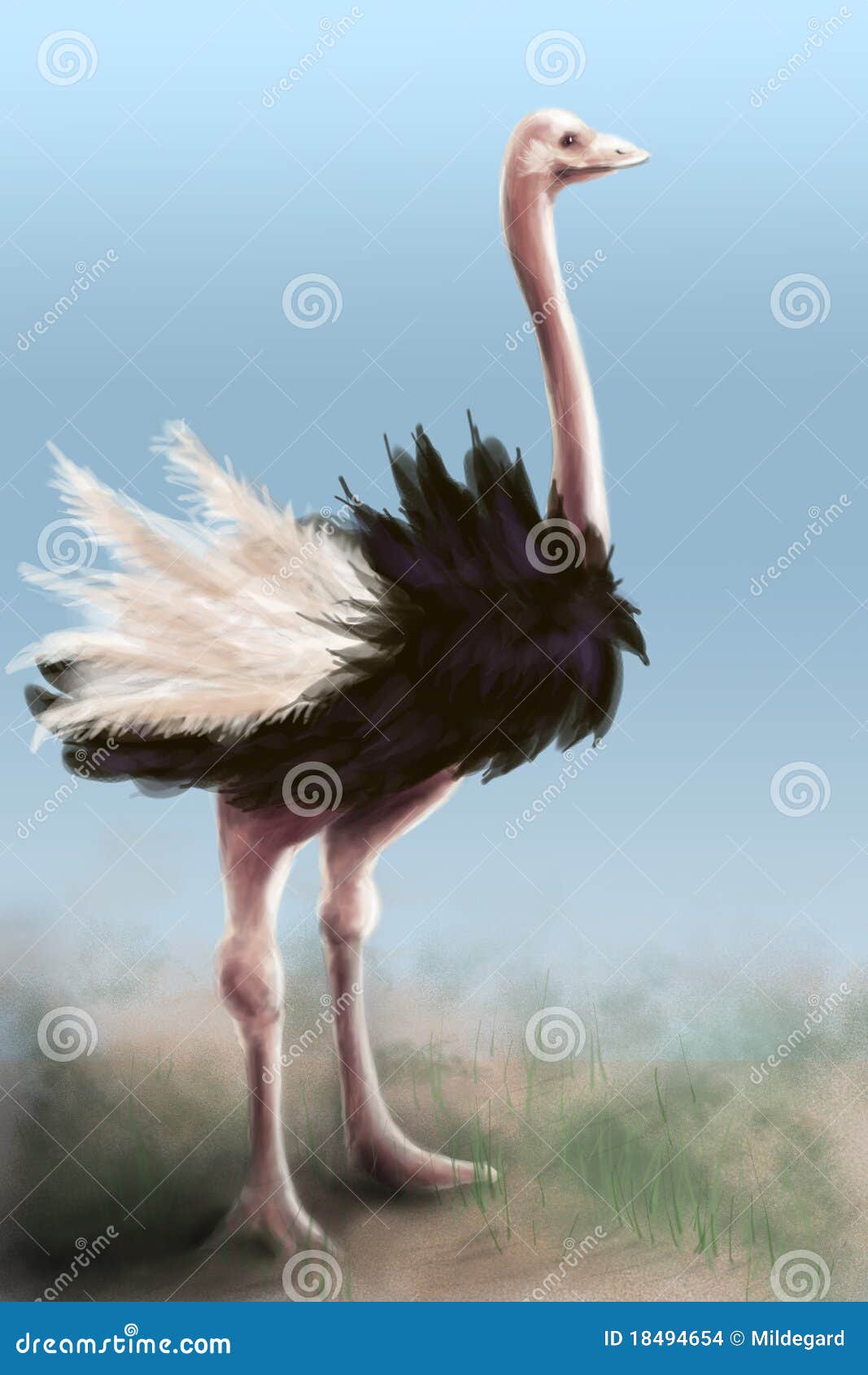 Ostrich Egg Painting Royalty-Free Stock Photography | CartoonDealer.com ...