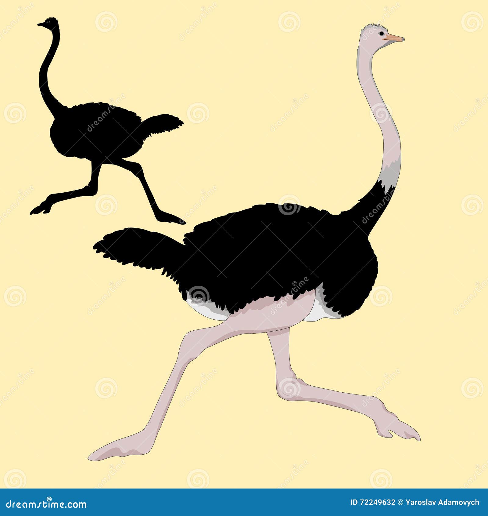 Ostrich Races Realistic Vector Illustration Stock Vector - Illustration ...