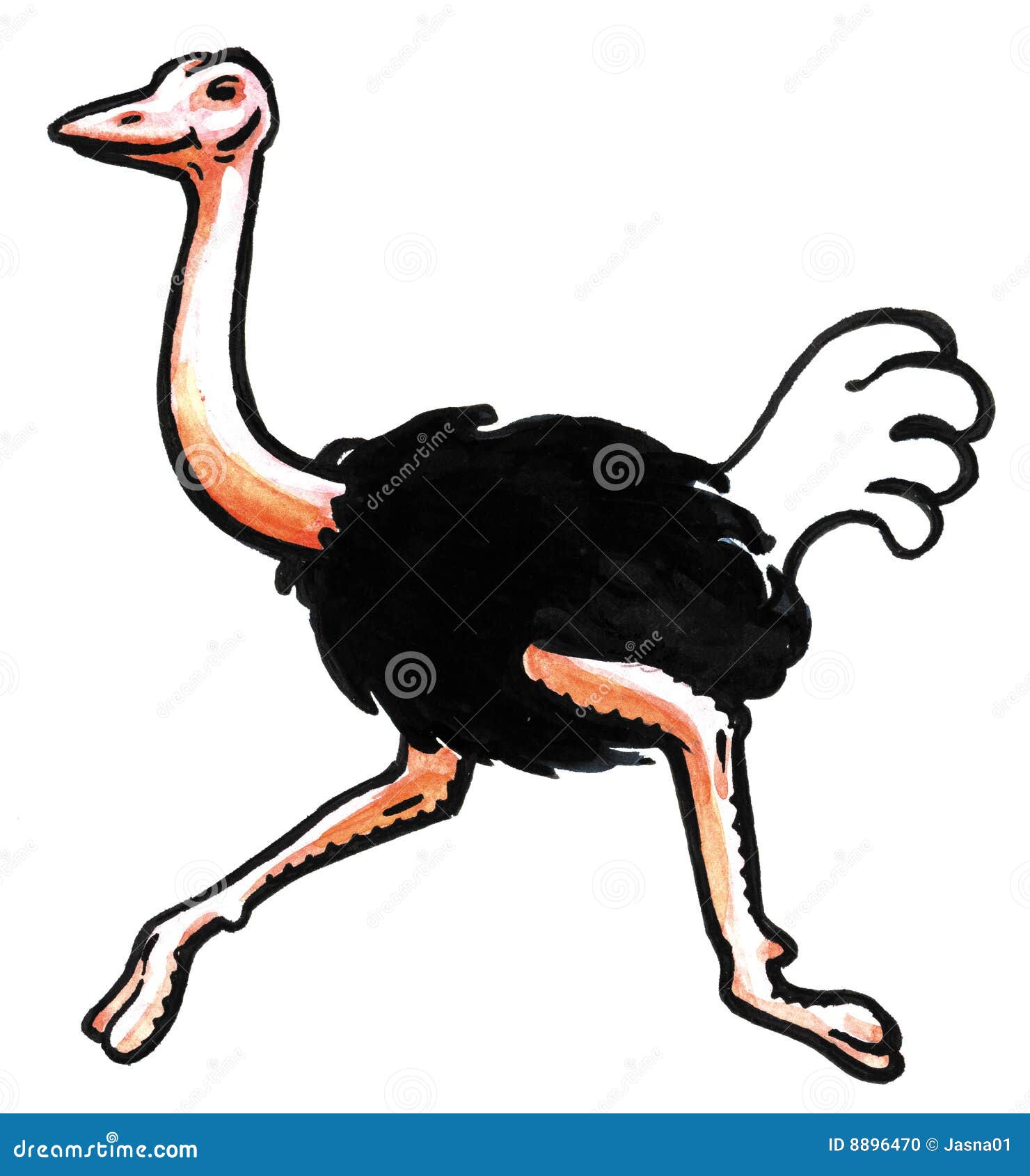 Ostrich in run stock illustration. Illustration of bird - 8896470